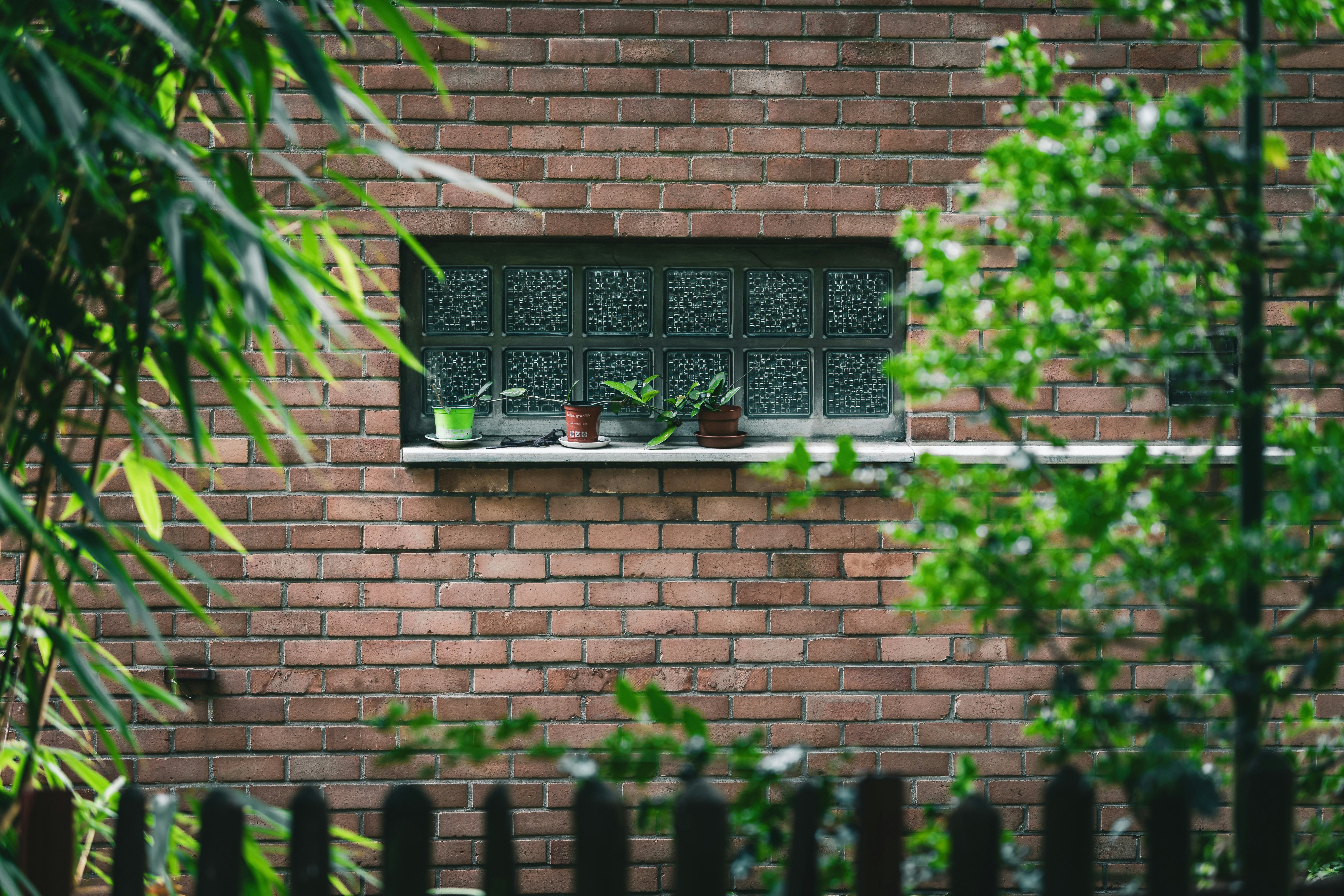 Window Shelf of Tiny Pots: Quiet Corner of a Brick Garden