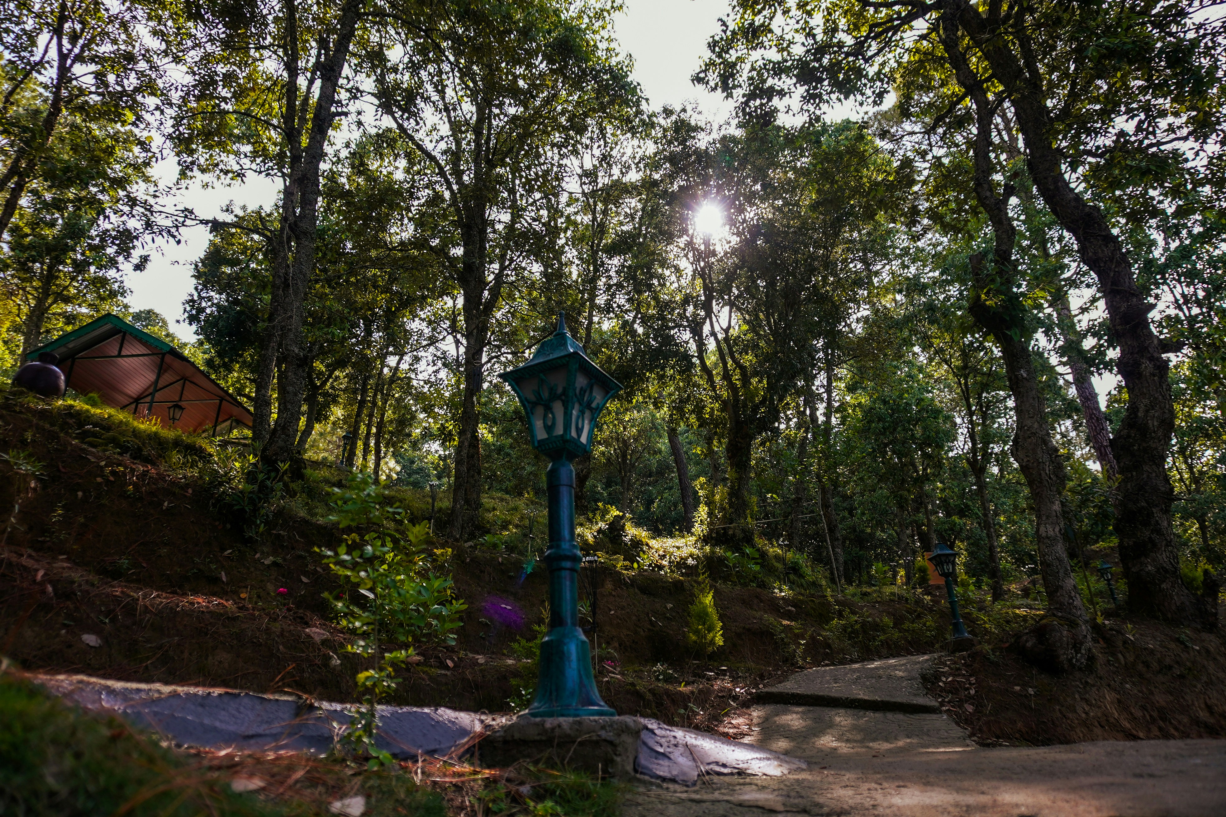 A Vintage Lamp Post Amid Sunlit Trees in a Quiet Park