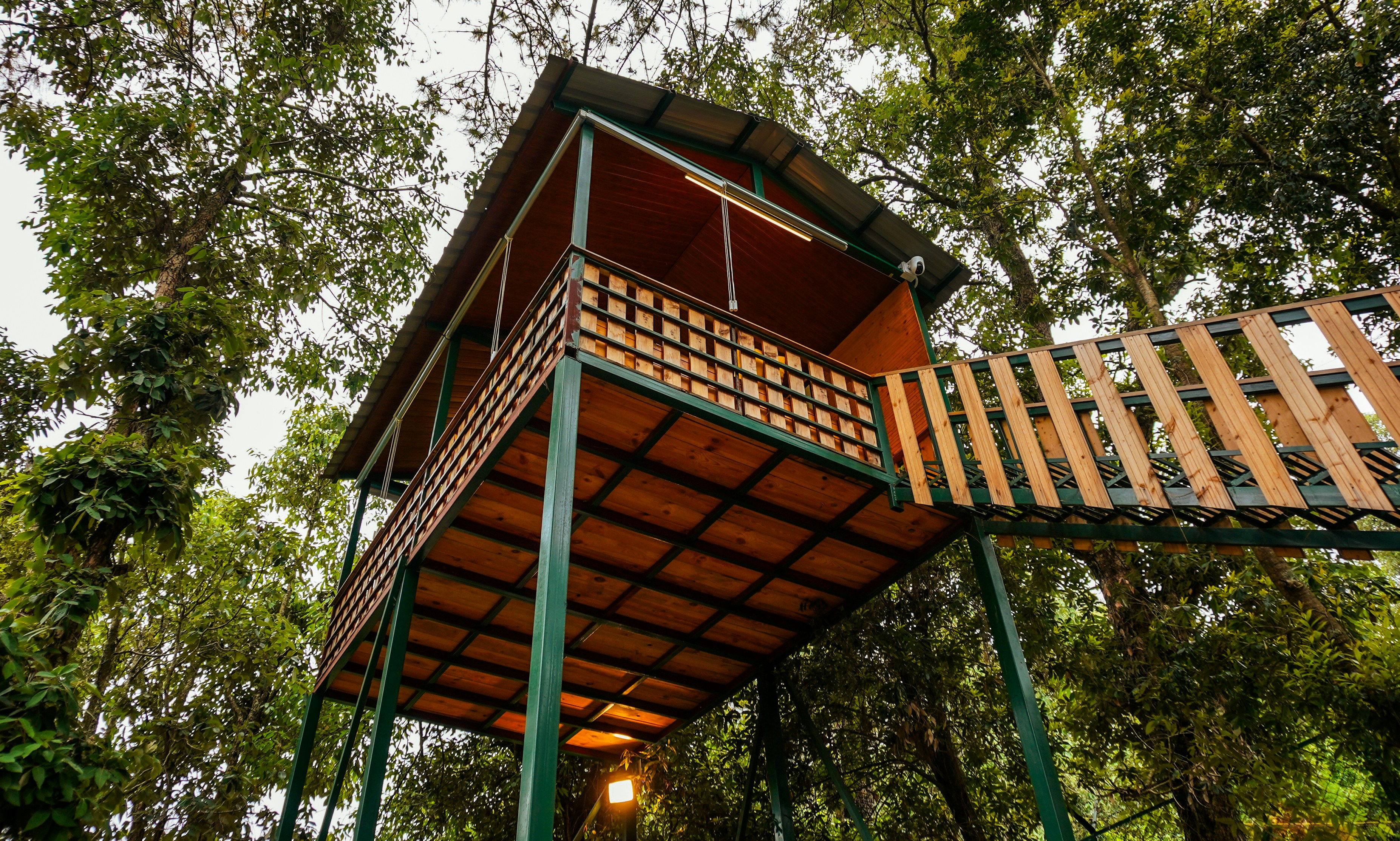 Treehouse Bridge to Serenity