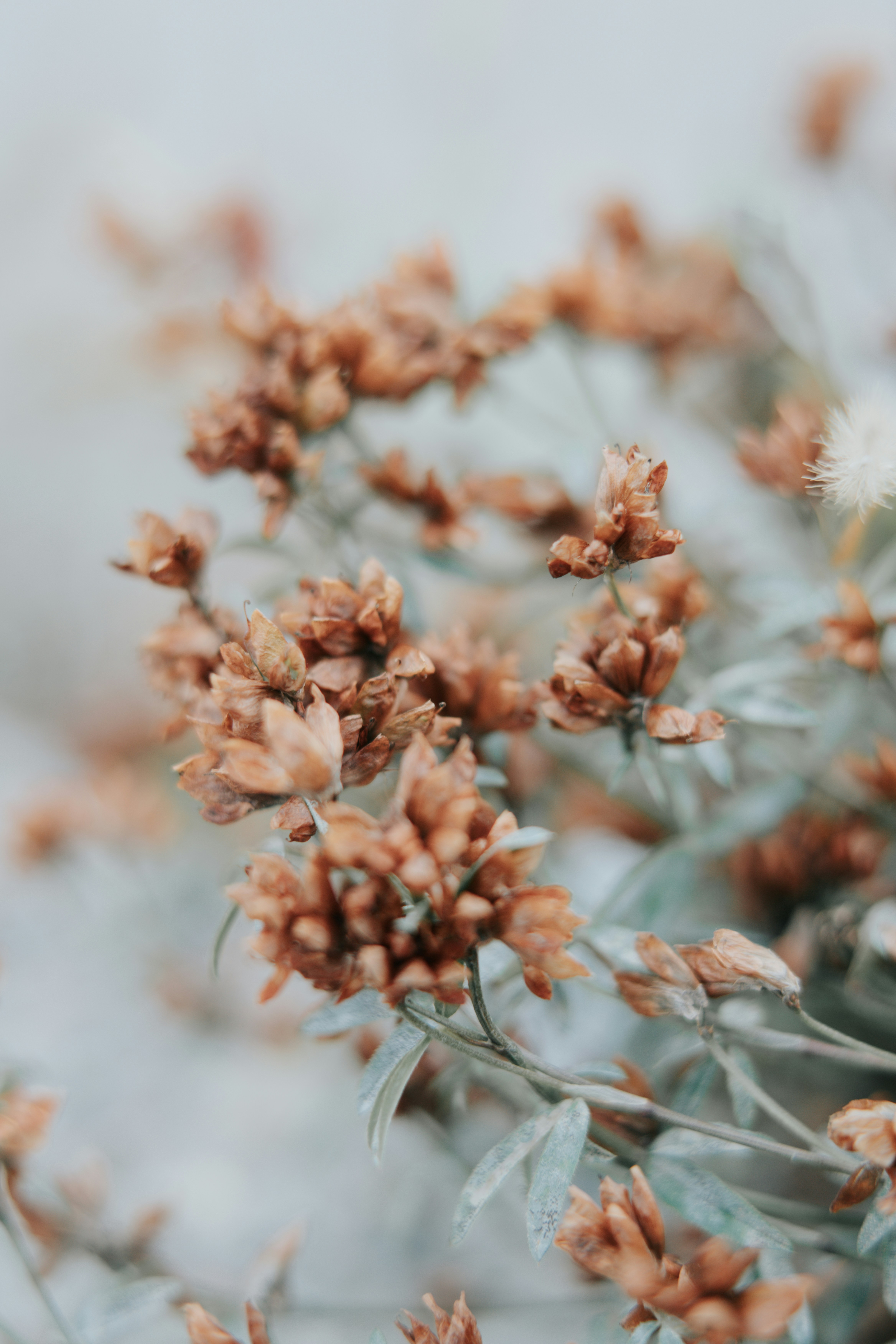 Photo by Andrey K with Sony Alpha 7 IV