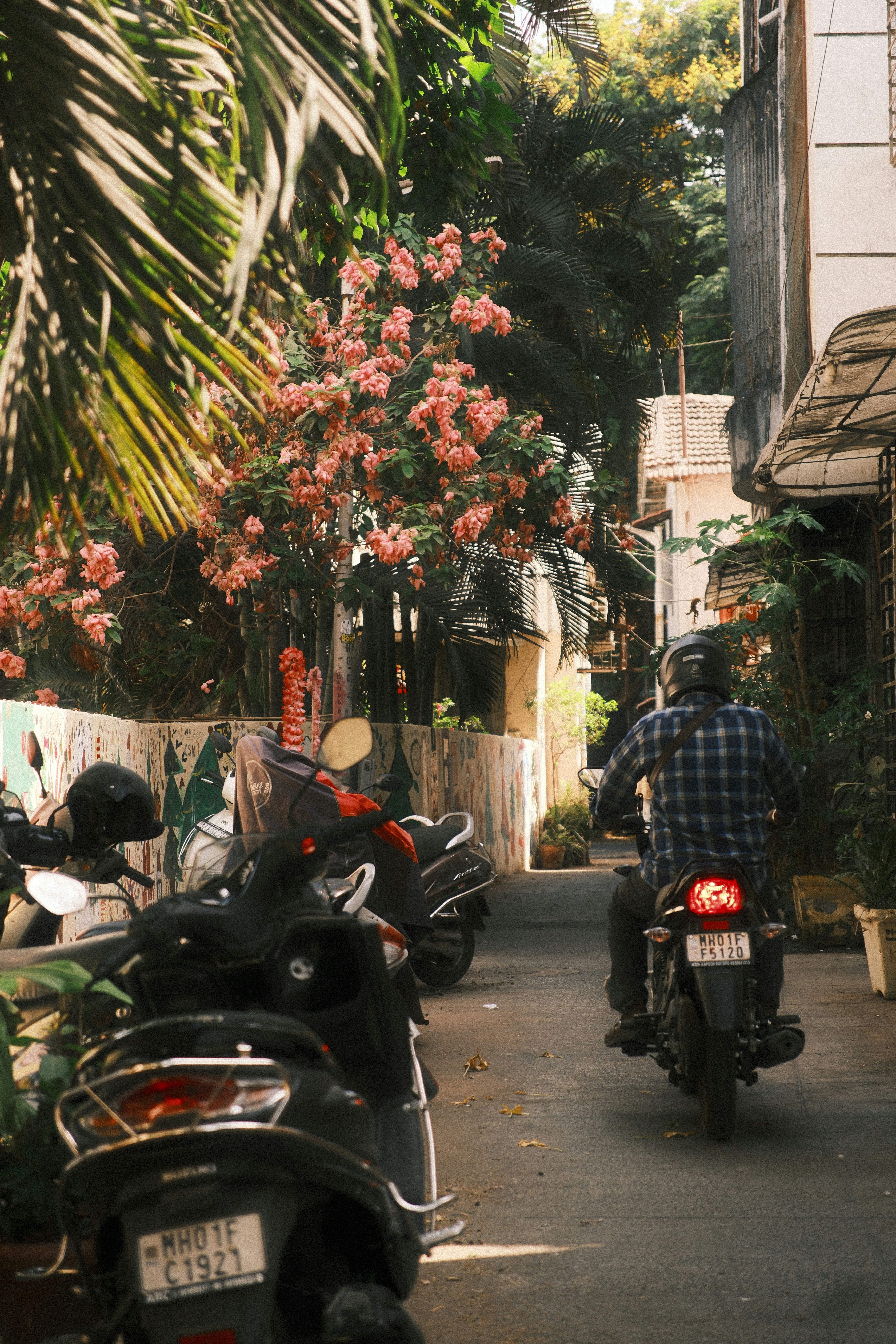 Motorcycle Alley in Bloom: Sunlit Street Between Motorbikes