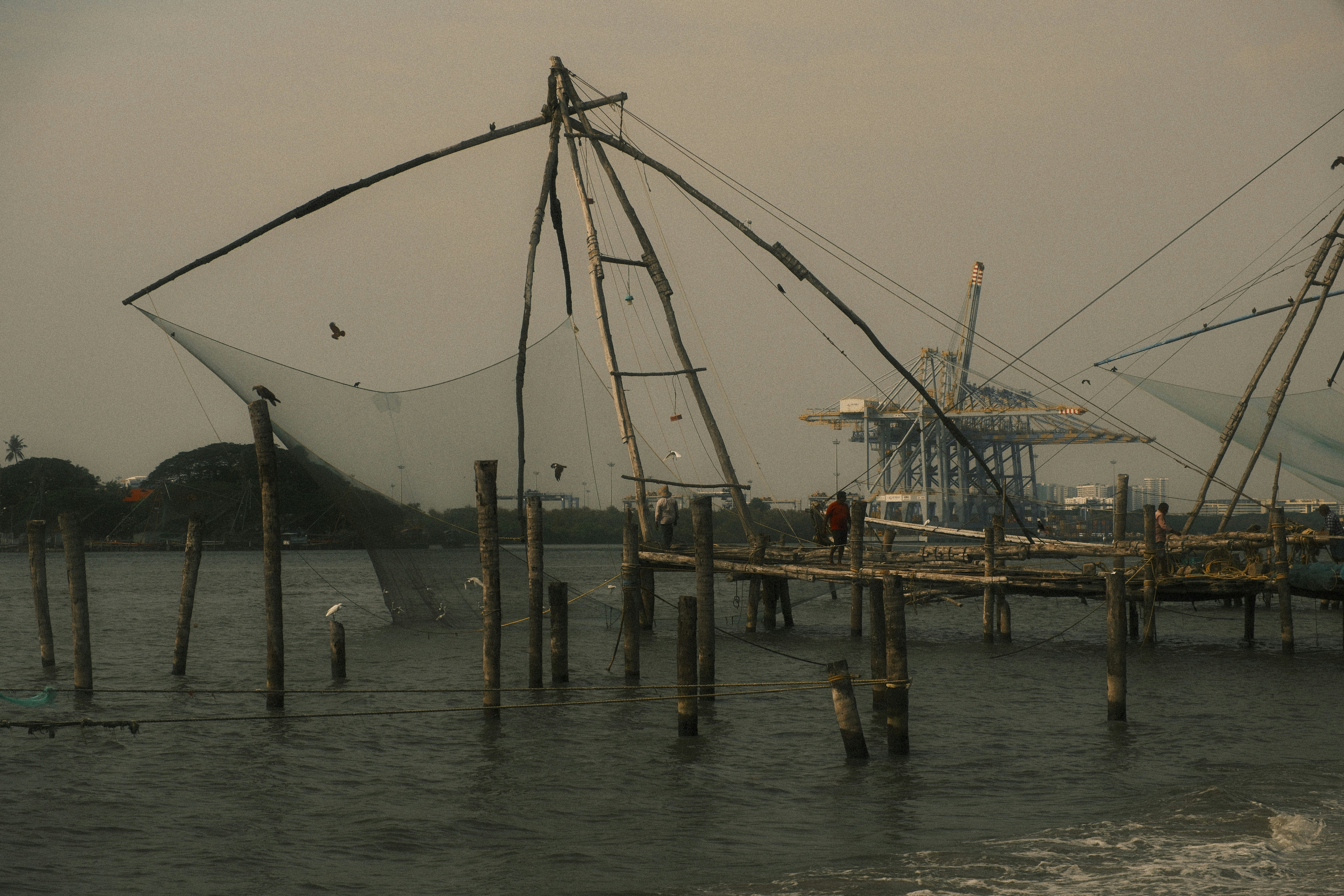 Net of the Tides: A Pier's Quiet Frame Across Water