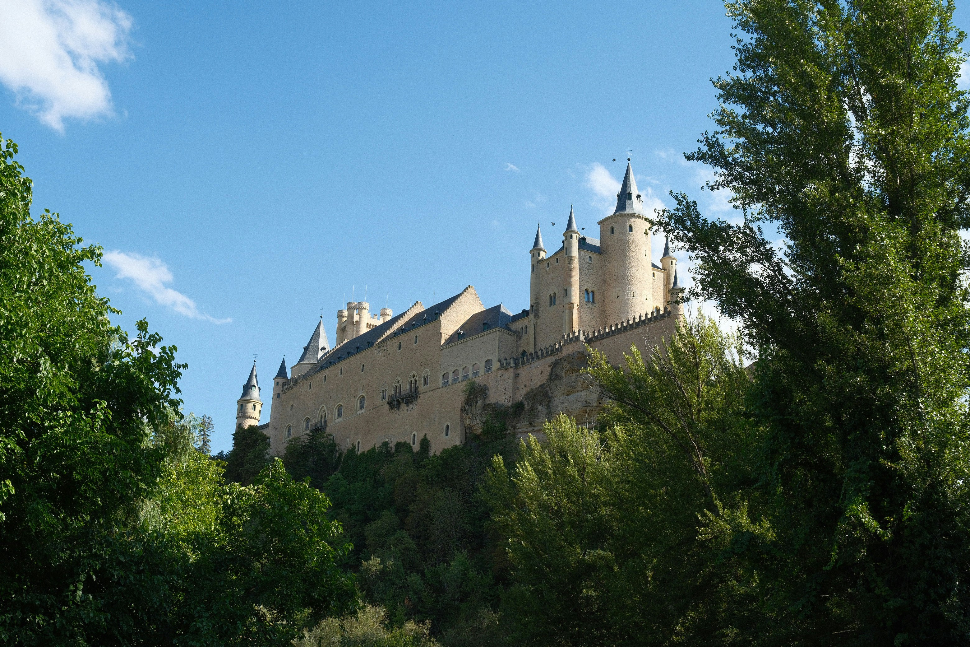 Castle Amid The Green Crest