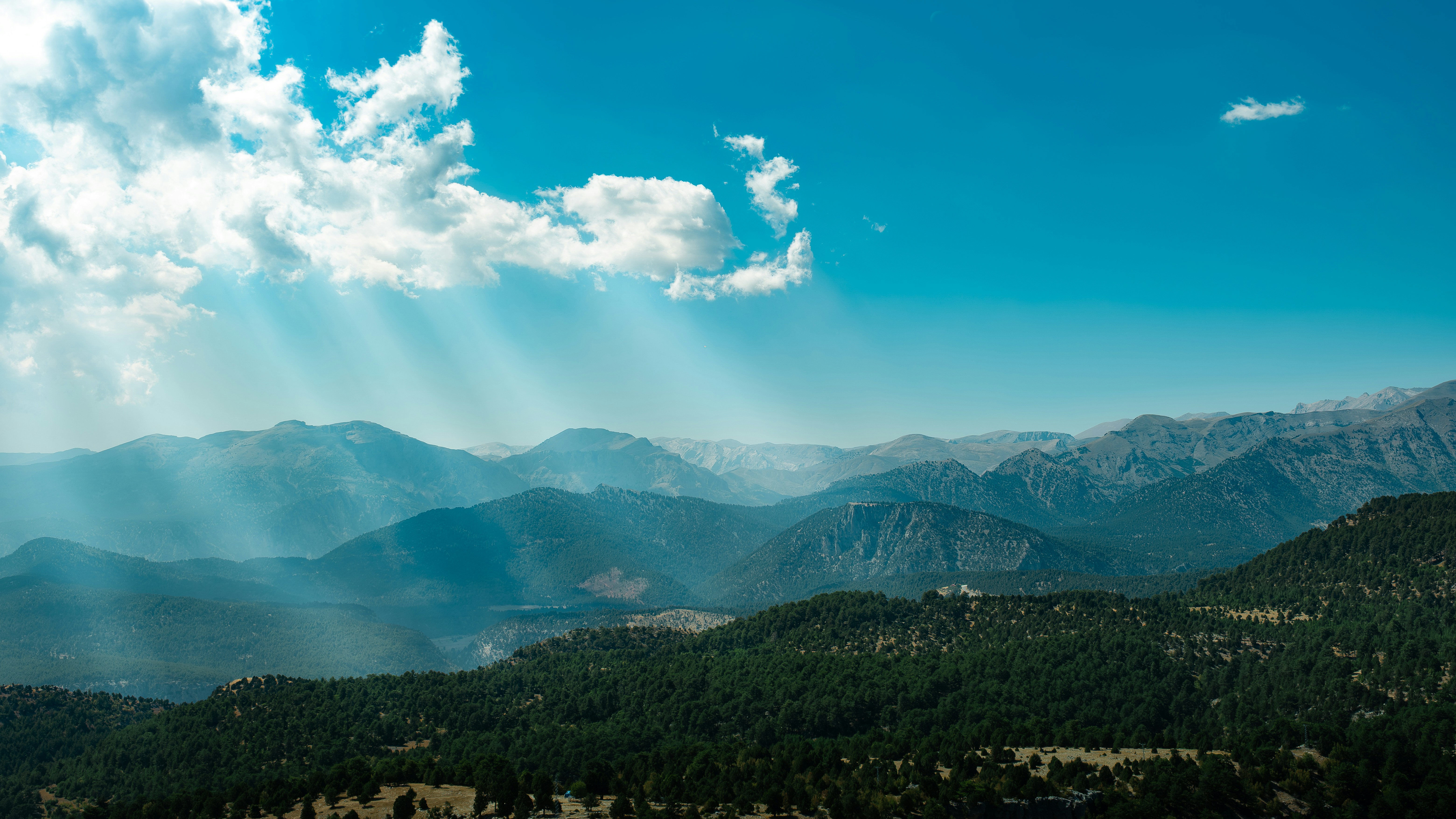 Sunbeams over the Sierra: A Quiet Sea of Pines