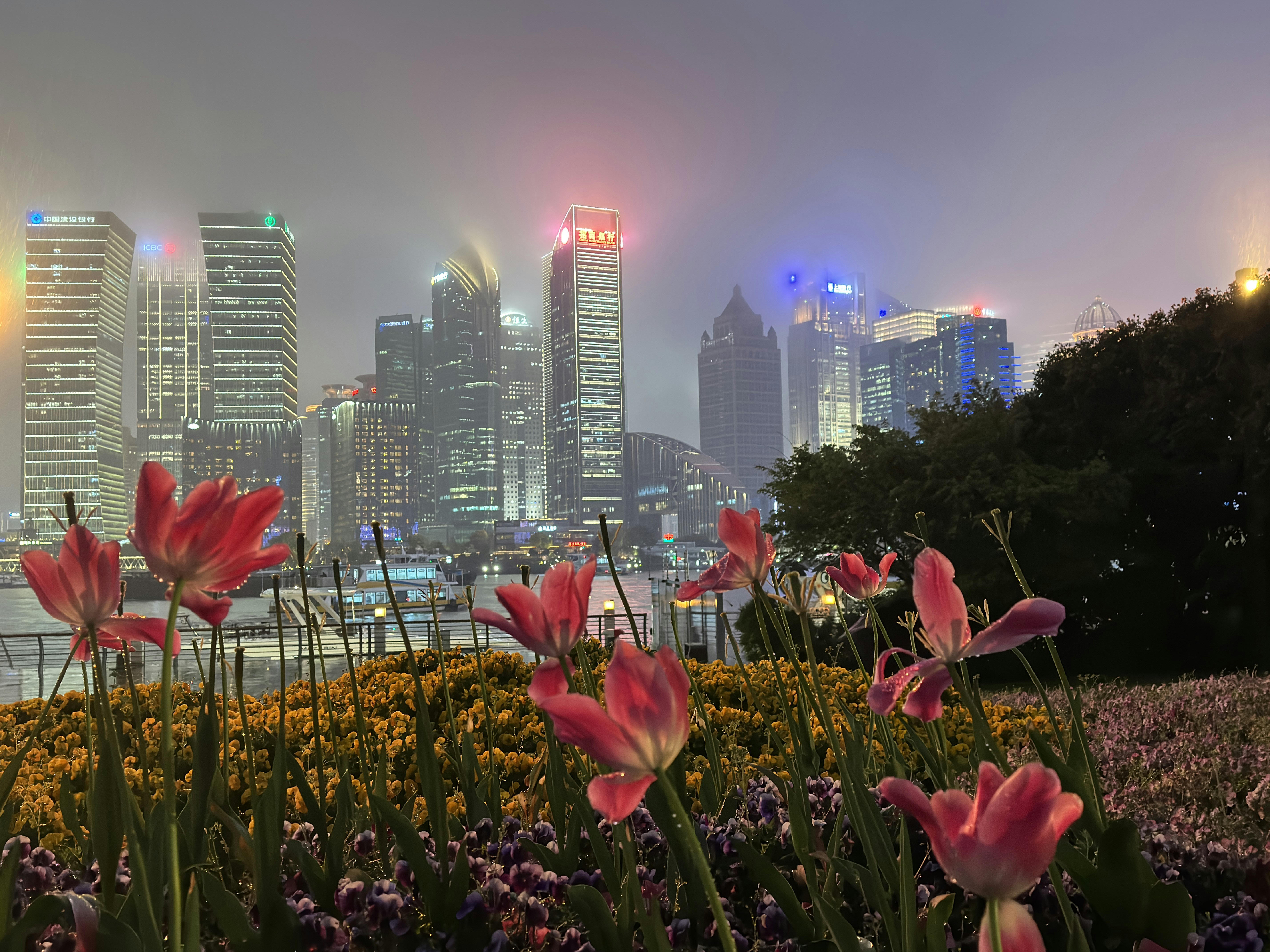 Blooming Foreground, Neon Skyline