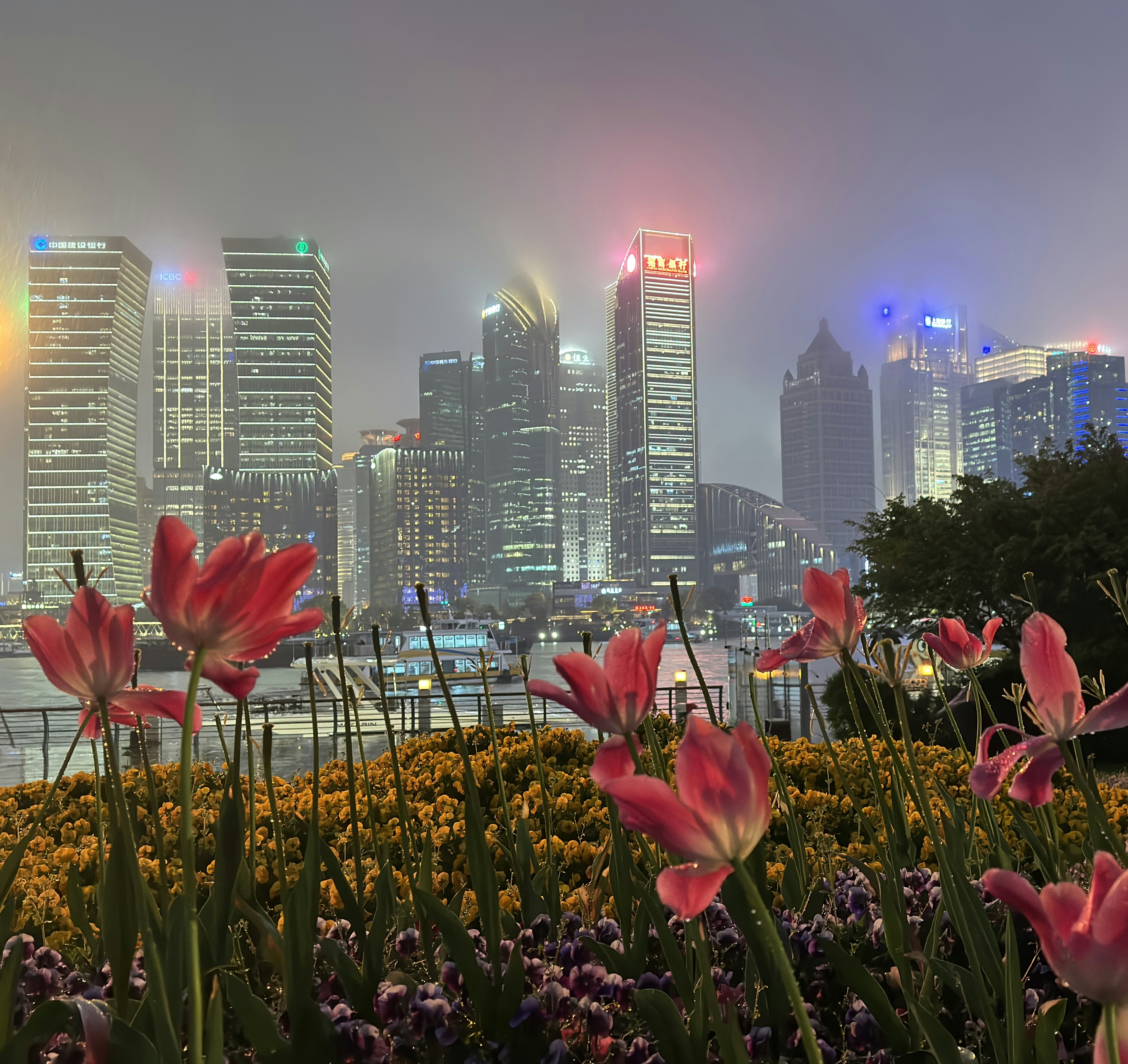 Neon Skyline Framed by Spring Lights