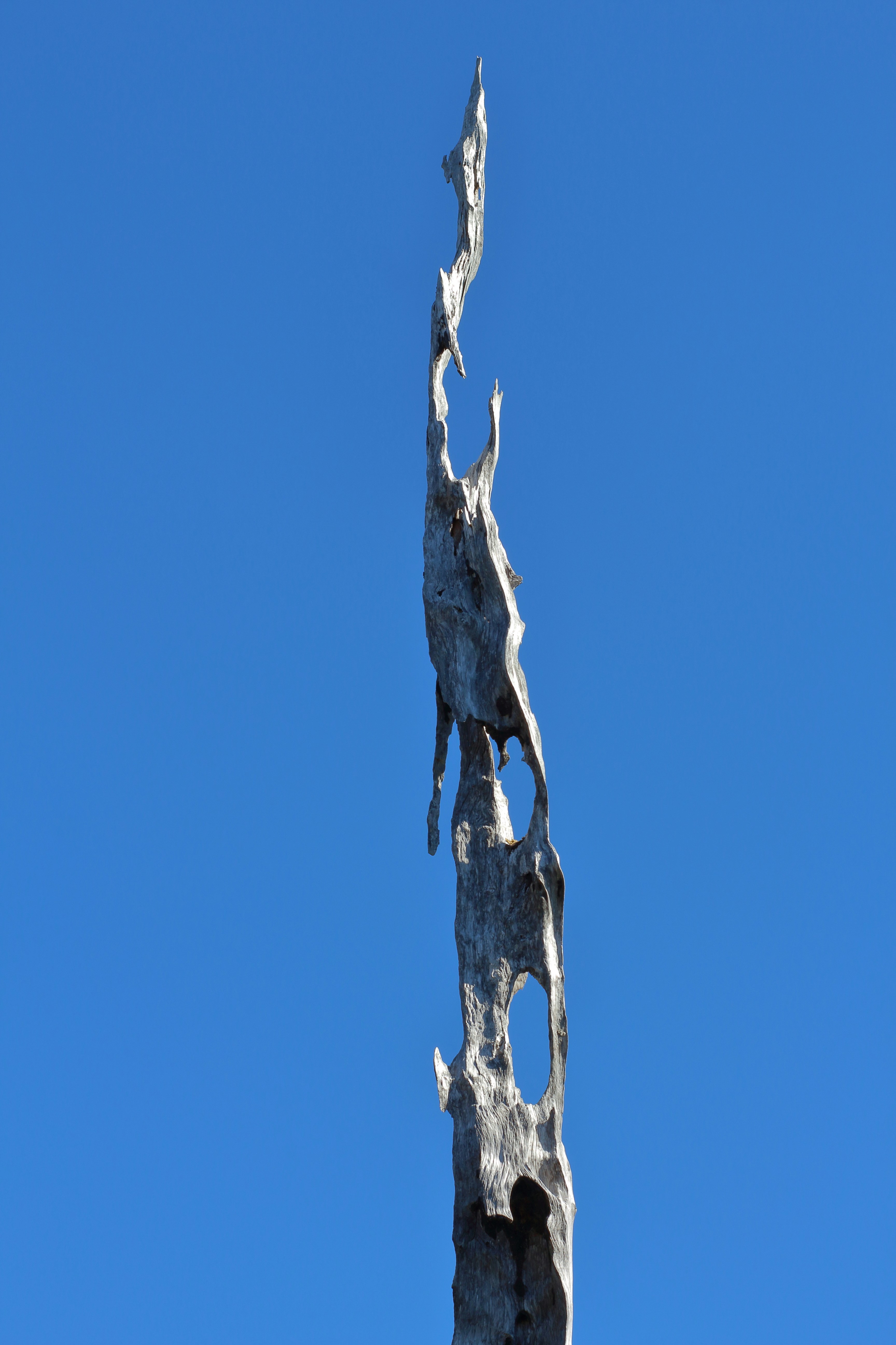 Skyward Skeleton: A Weathered Spire Reaching for the Blue