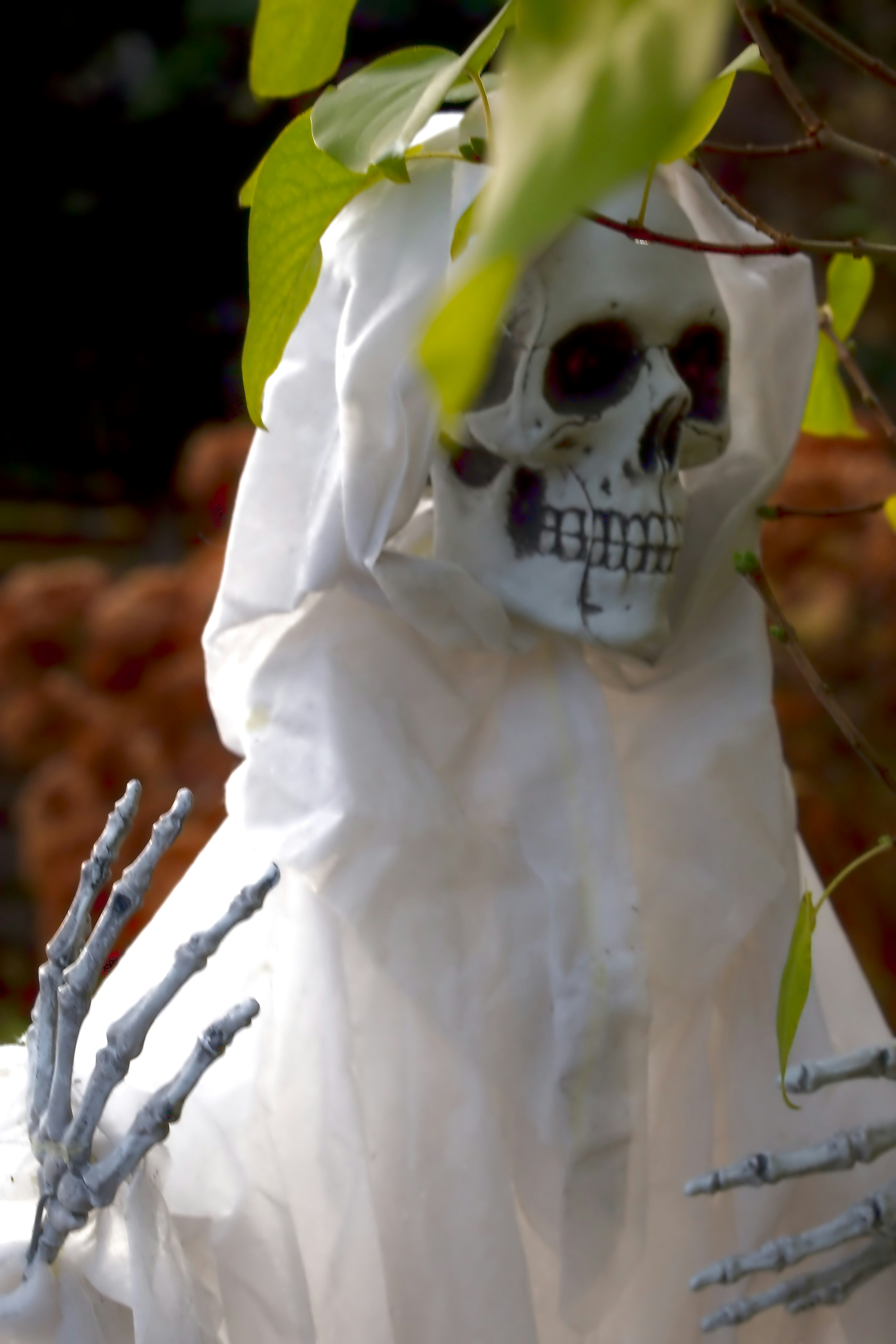 Ghostly Guardian in White Drapes