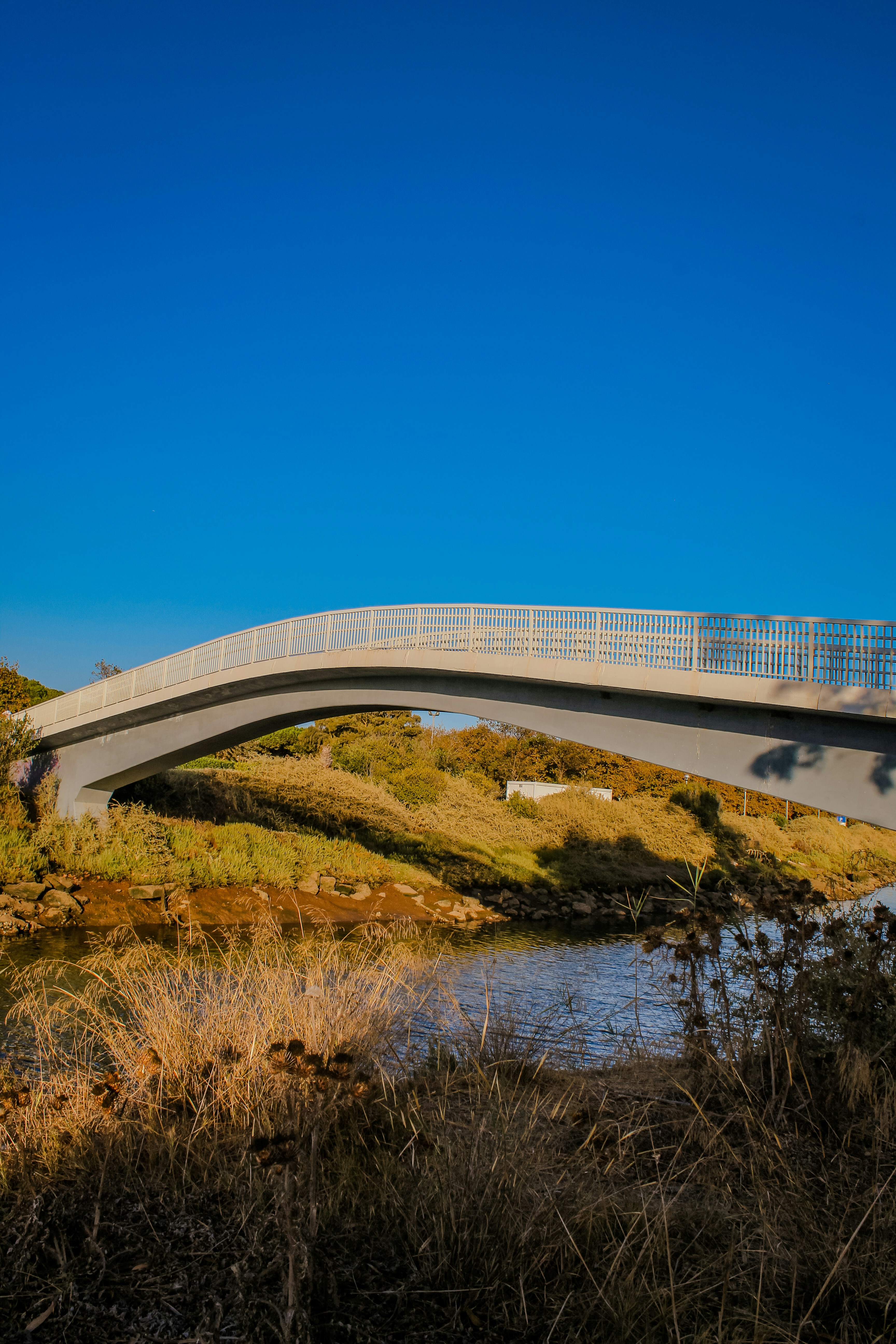 Bridge over calm river under a cobalt sky
