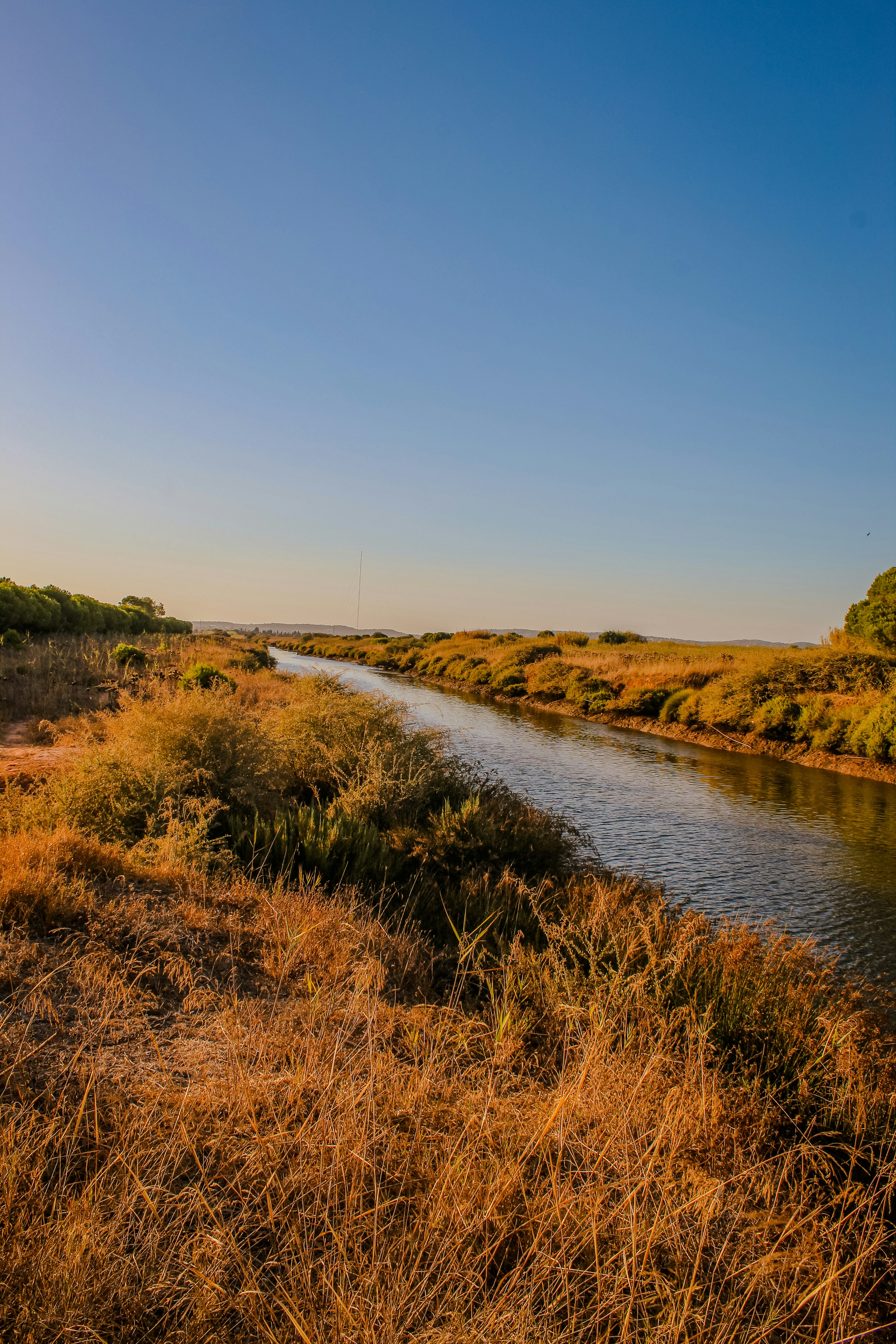 Golden Riverbend at Quiet Horizon