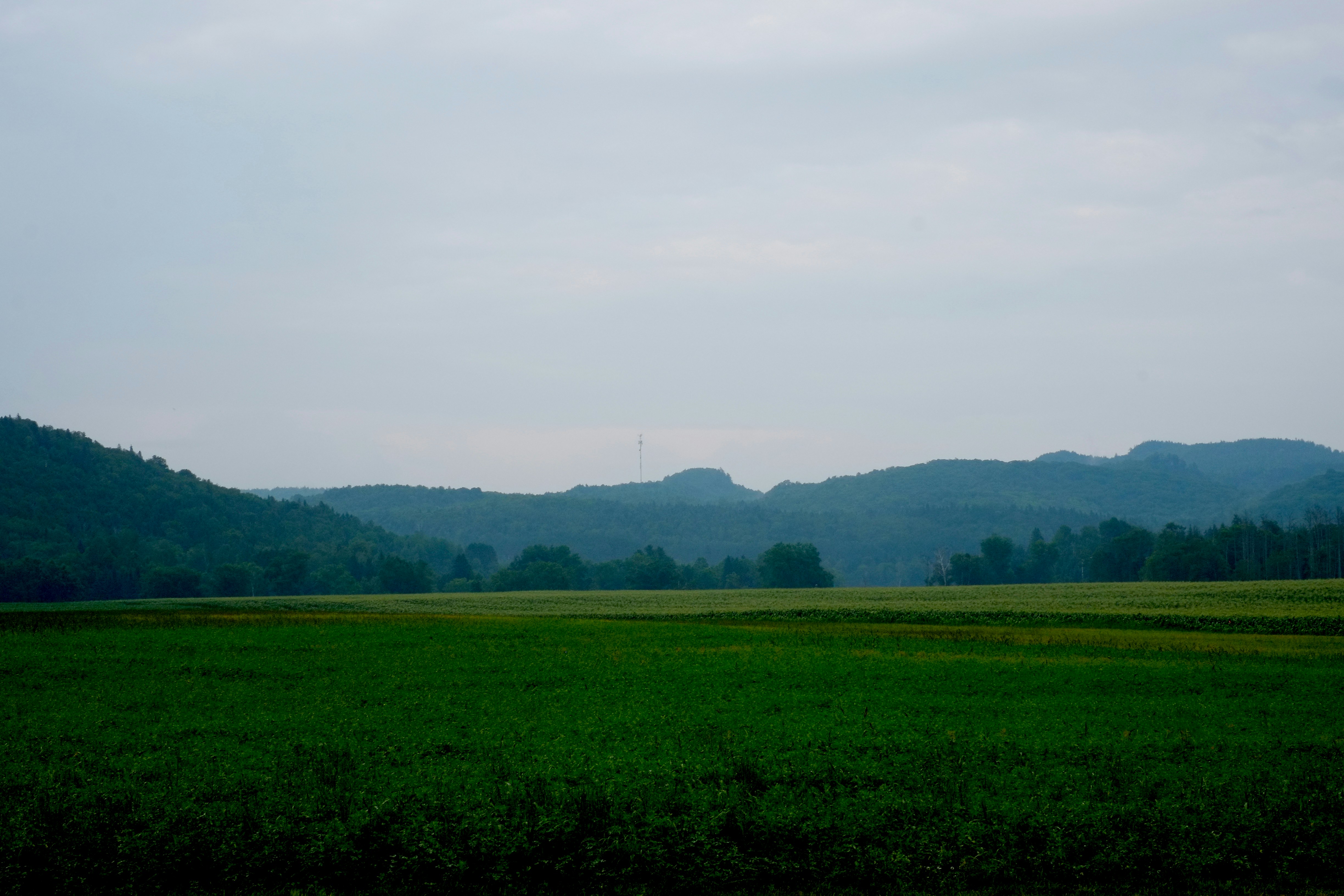Quiet Horizon: Farmland Beneath a Softly Layered Sky