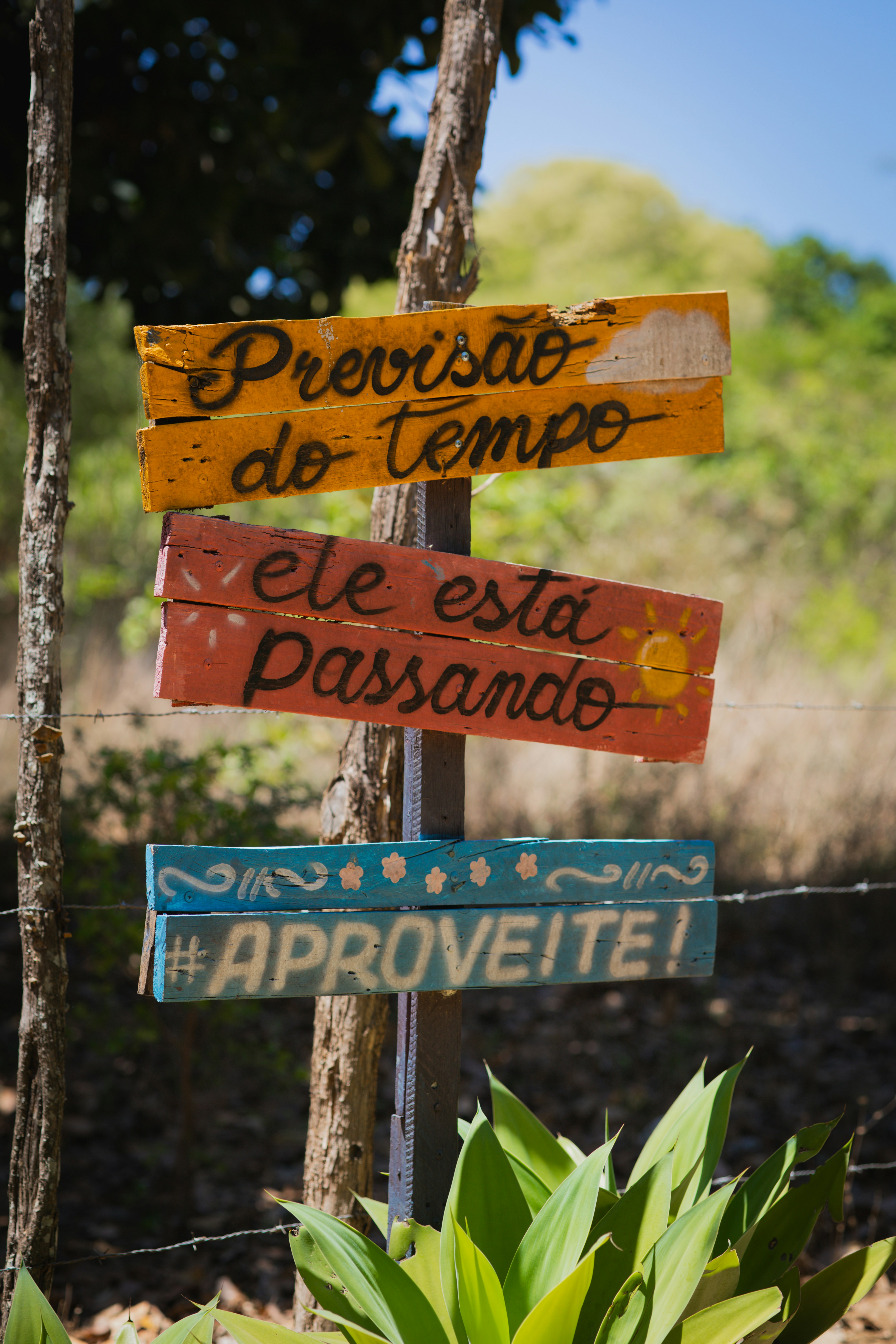 Colorful Warning: Painted Signs on a Wooden Post