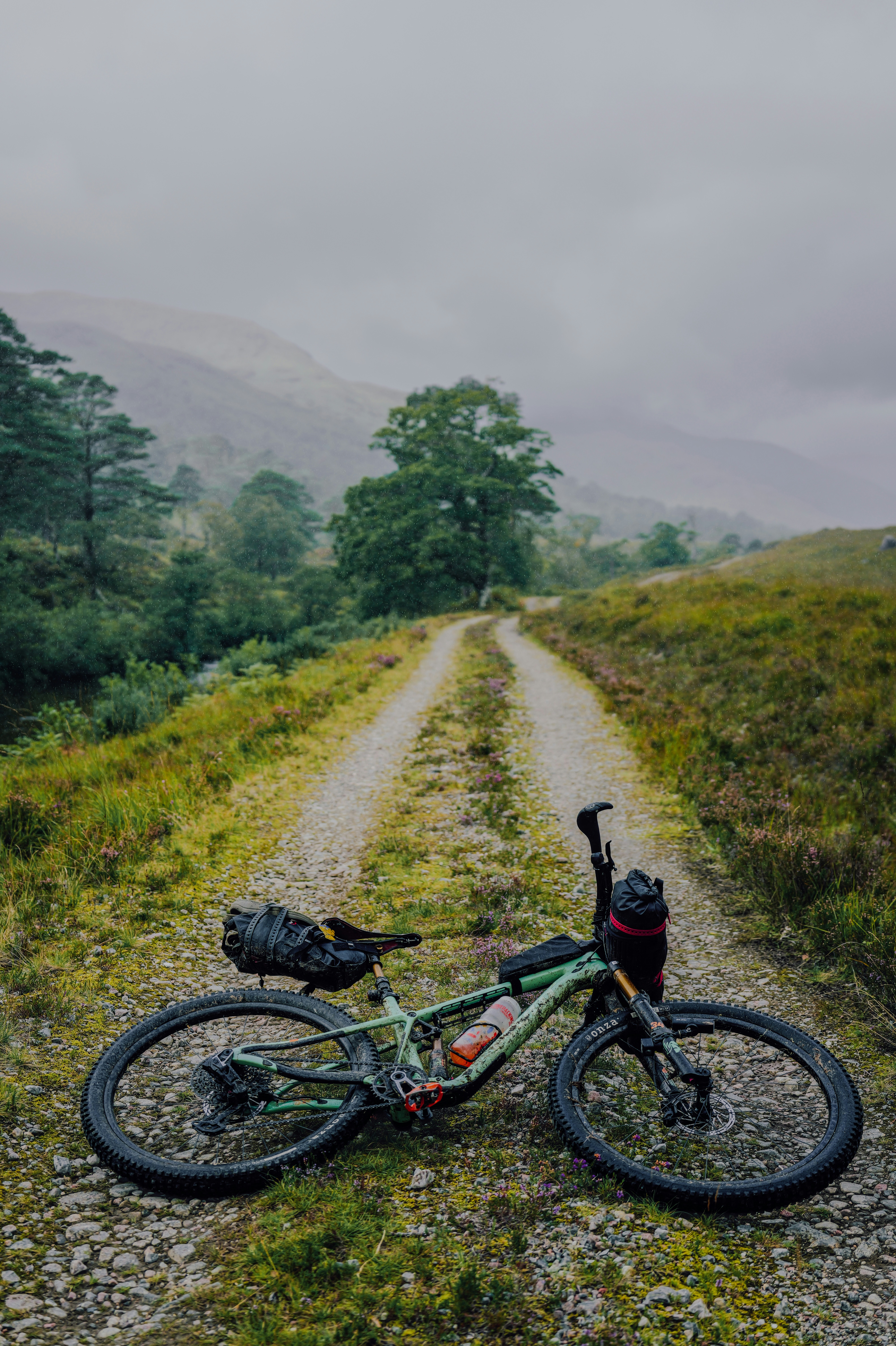 Rugged Mountain Trail After Rain: A Downed Frame in the Quiet Wild