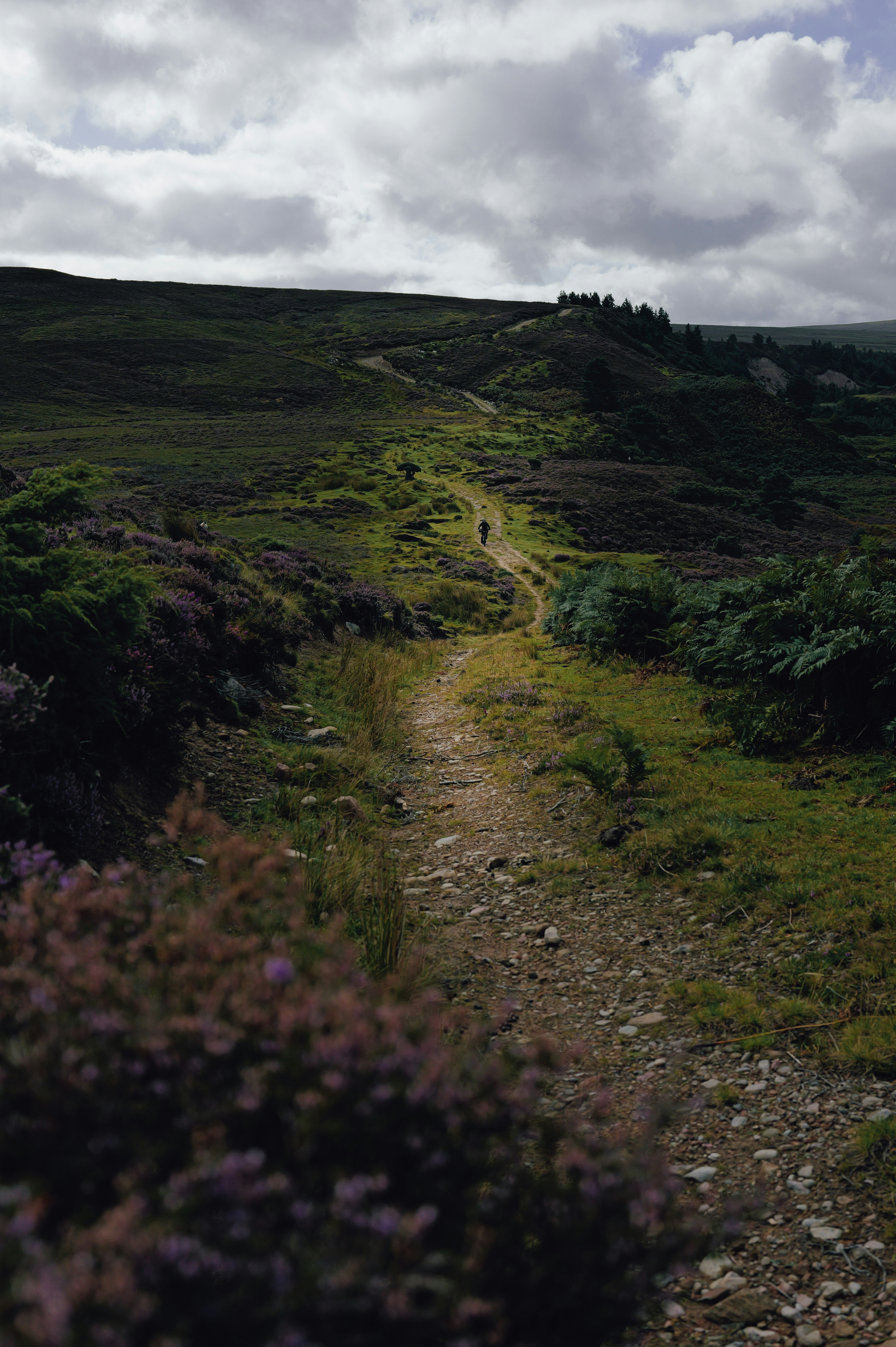 Trail to the Hidden Crest