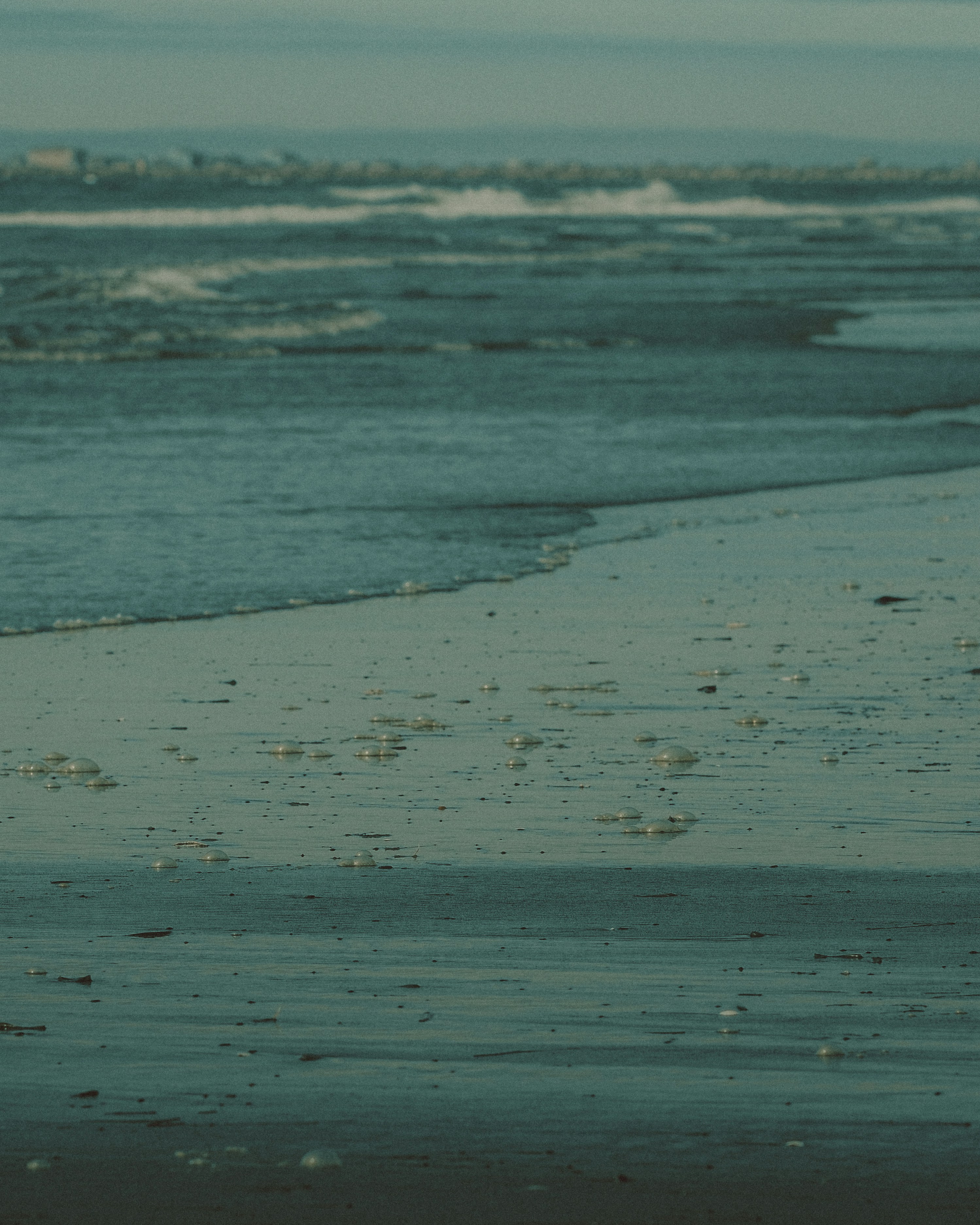 Soft Tide: Pebbled Shore Under Quiet Light
