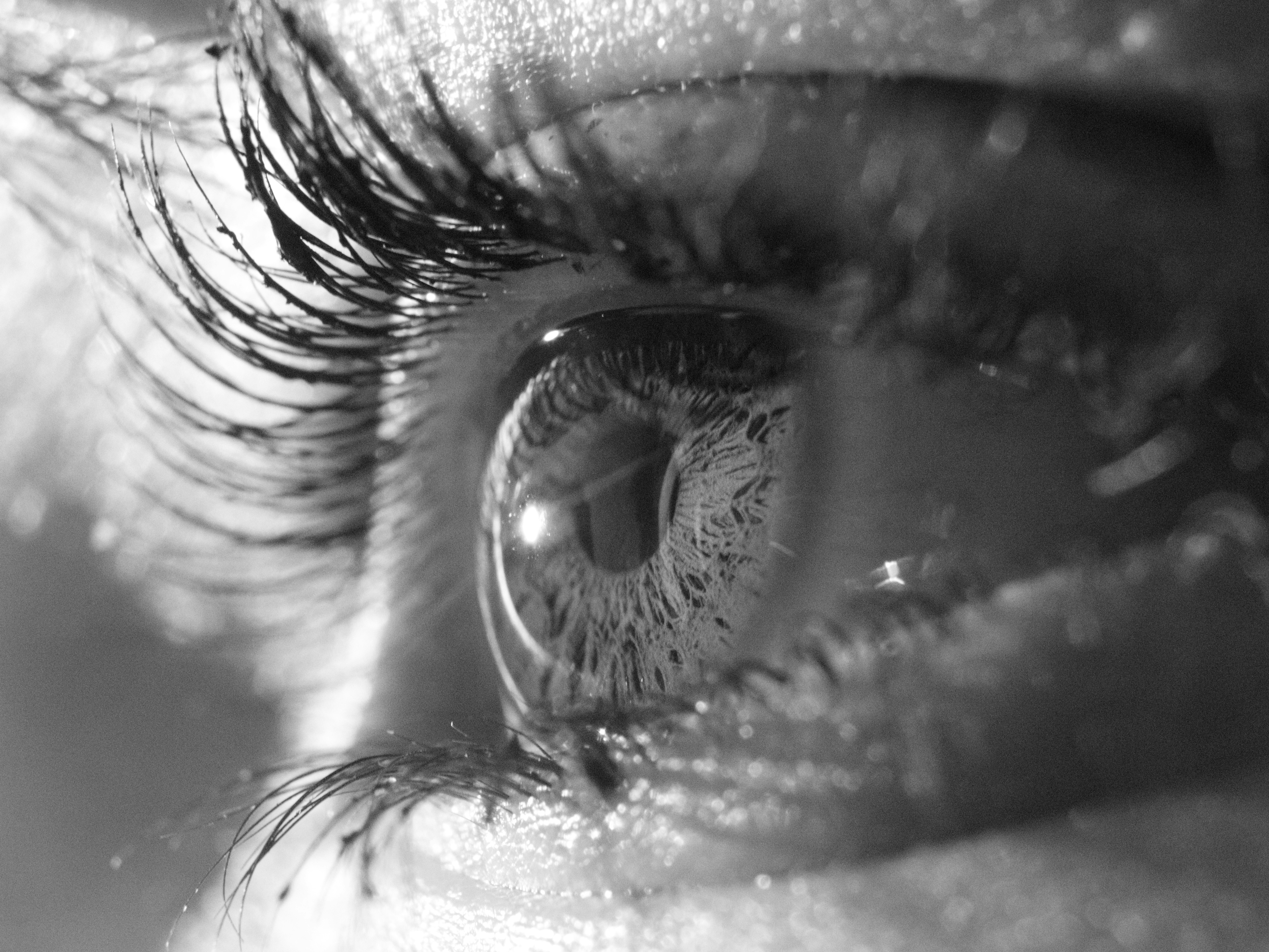 Macro Gaze: A Close-Up of an Eye in Focused Detail