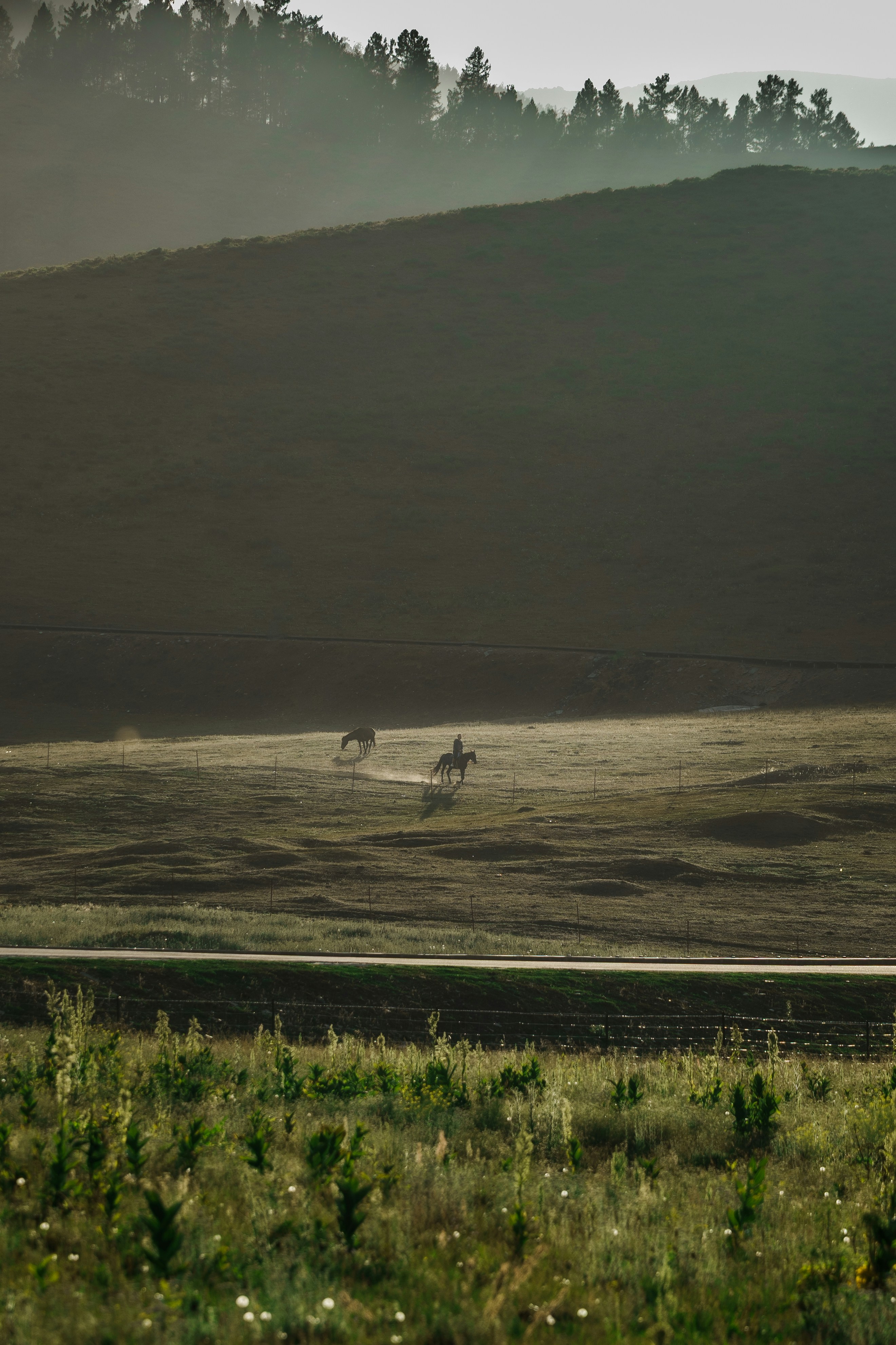 Distant Herd at the Foot of a Silhouetted Hill