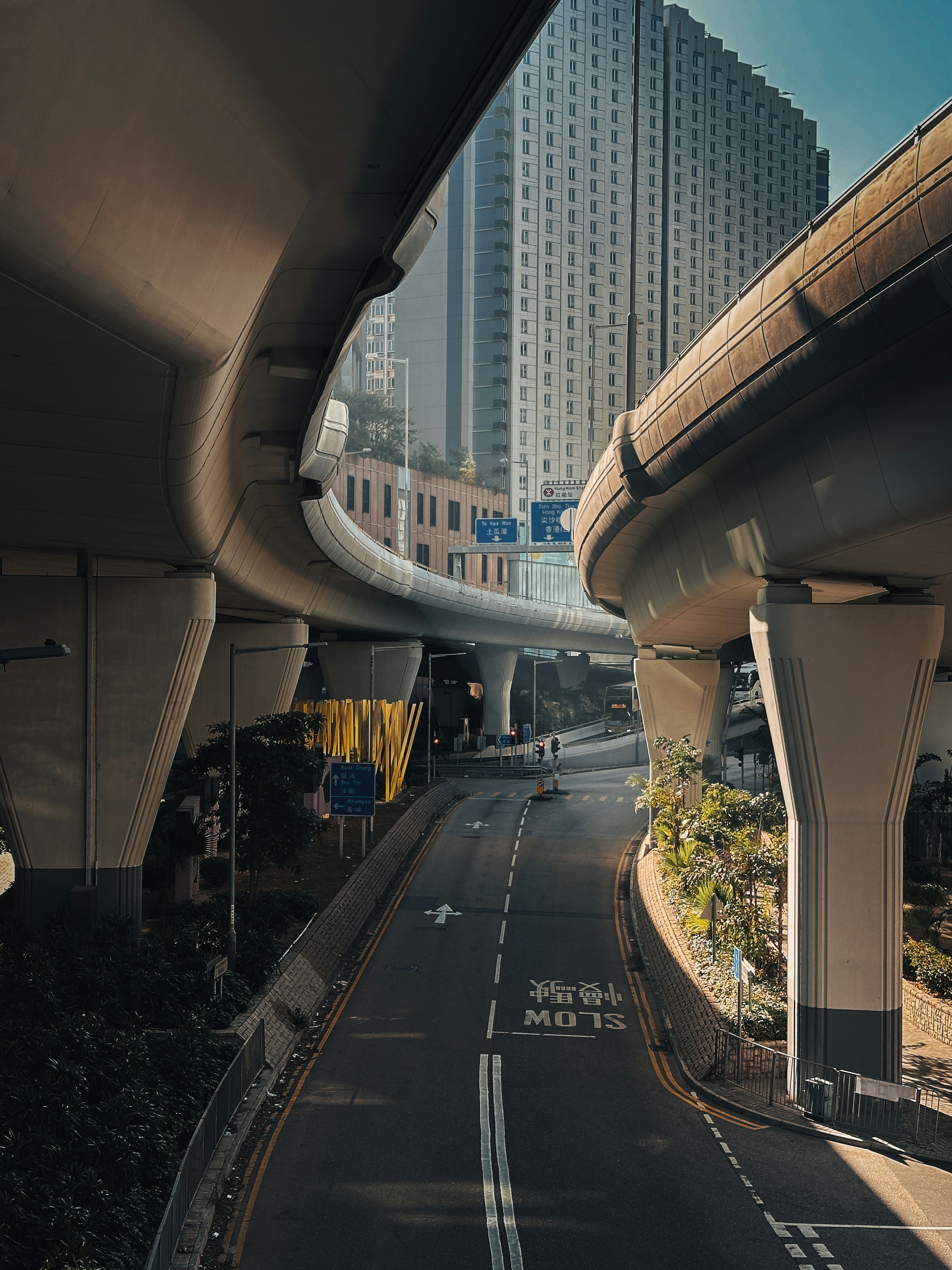 A winding city road runs beneath elevated highways as tall buildings rise in the background; sunlight filters through, casting long shadows and highlighting the concrete pillars and roadside greenery.