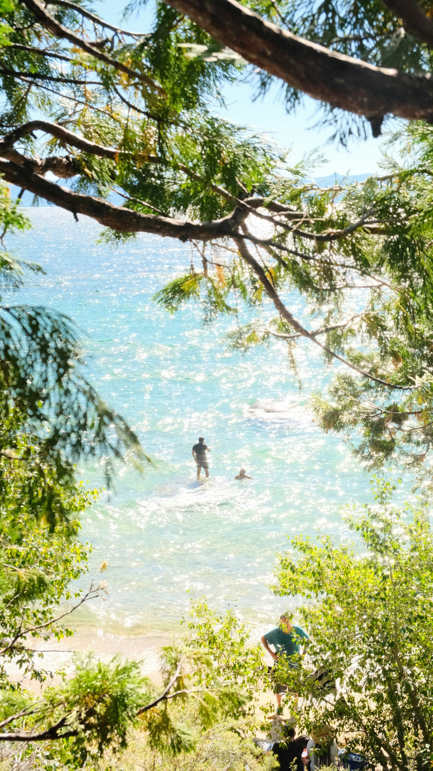 Sunlit shoreline through green fringe: a swimmer and buoyant figure at the water's edge
