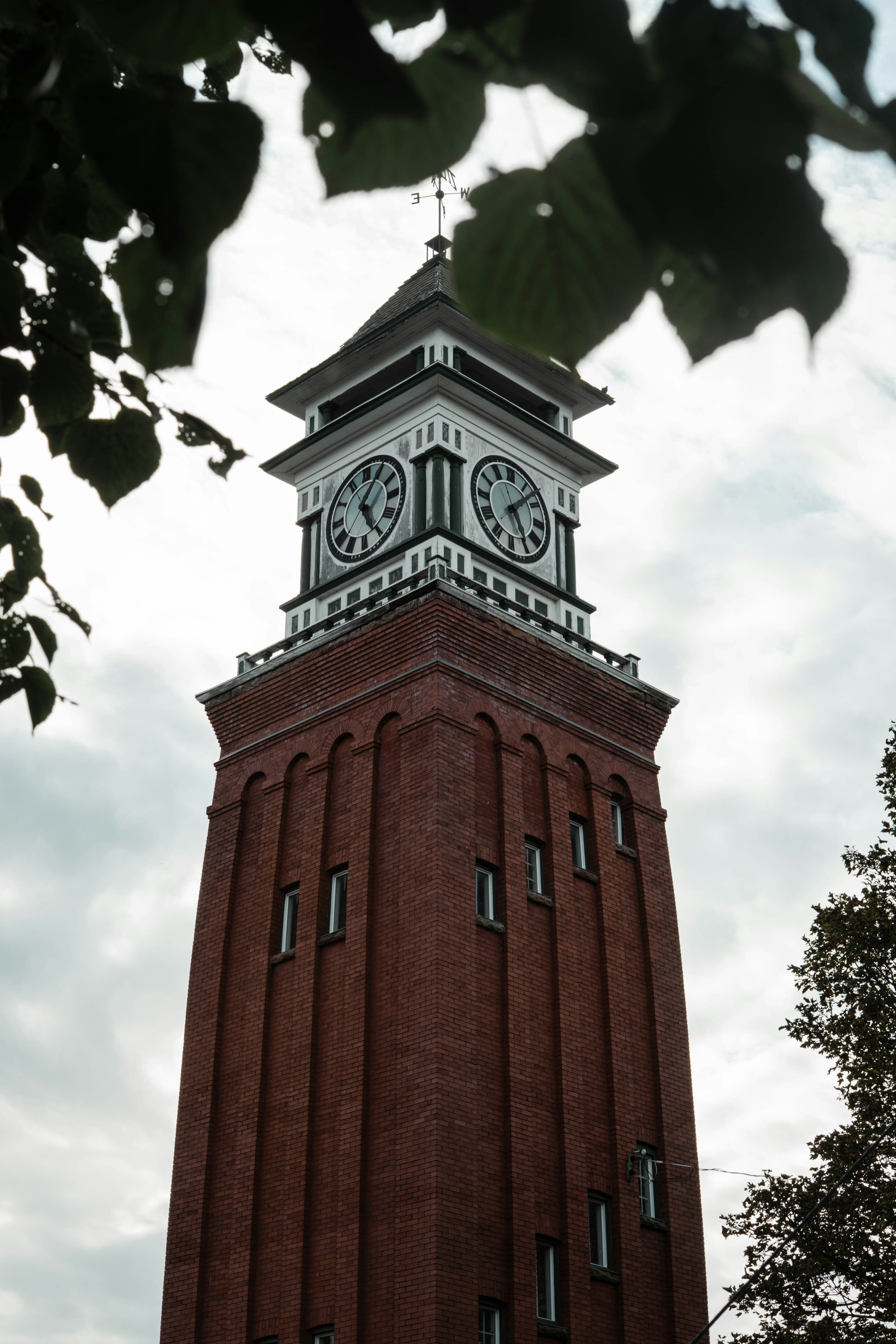 Chronicle Tower: A Brick Clock Topped silhouette