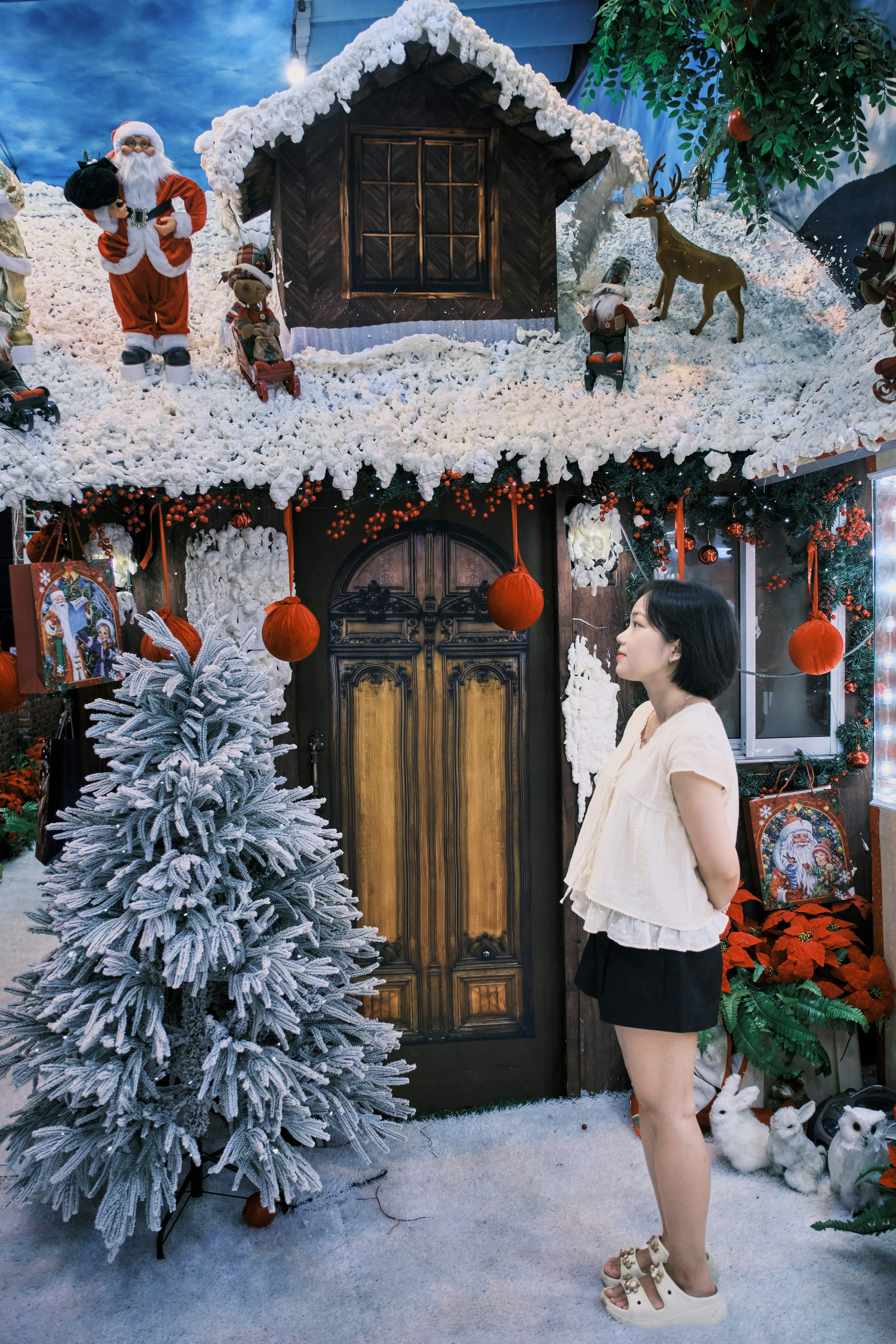 Winter Echo at the Doorstep: A Quiet Portrait Amid Festive Frost