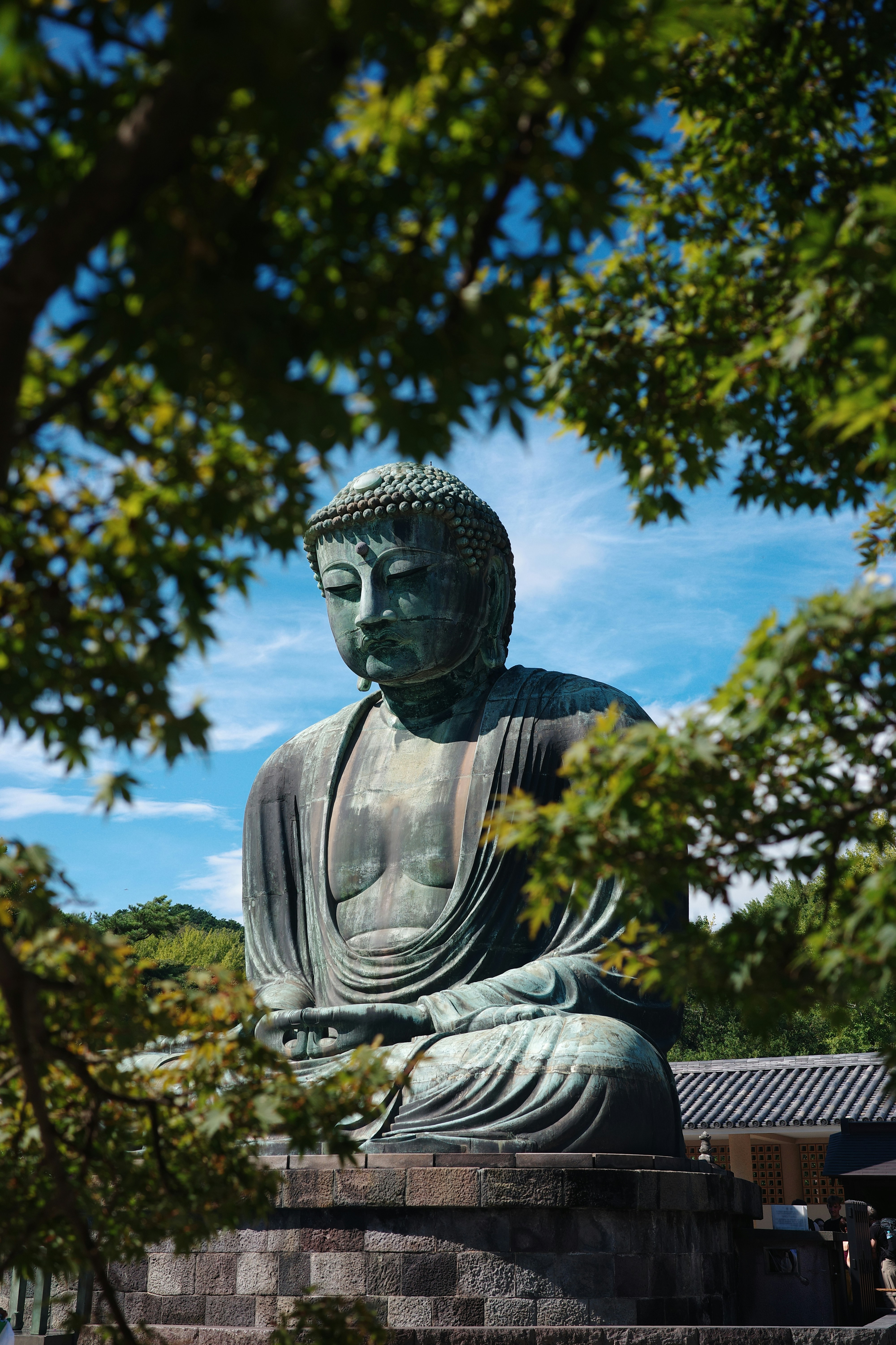 Serene Giant: A Buddha statue framed by a canopy of leaves