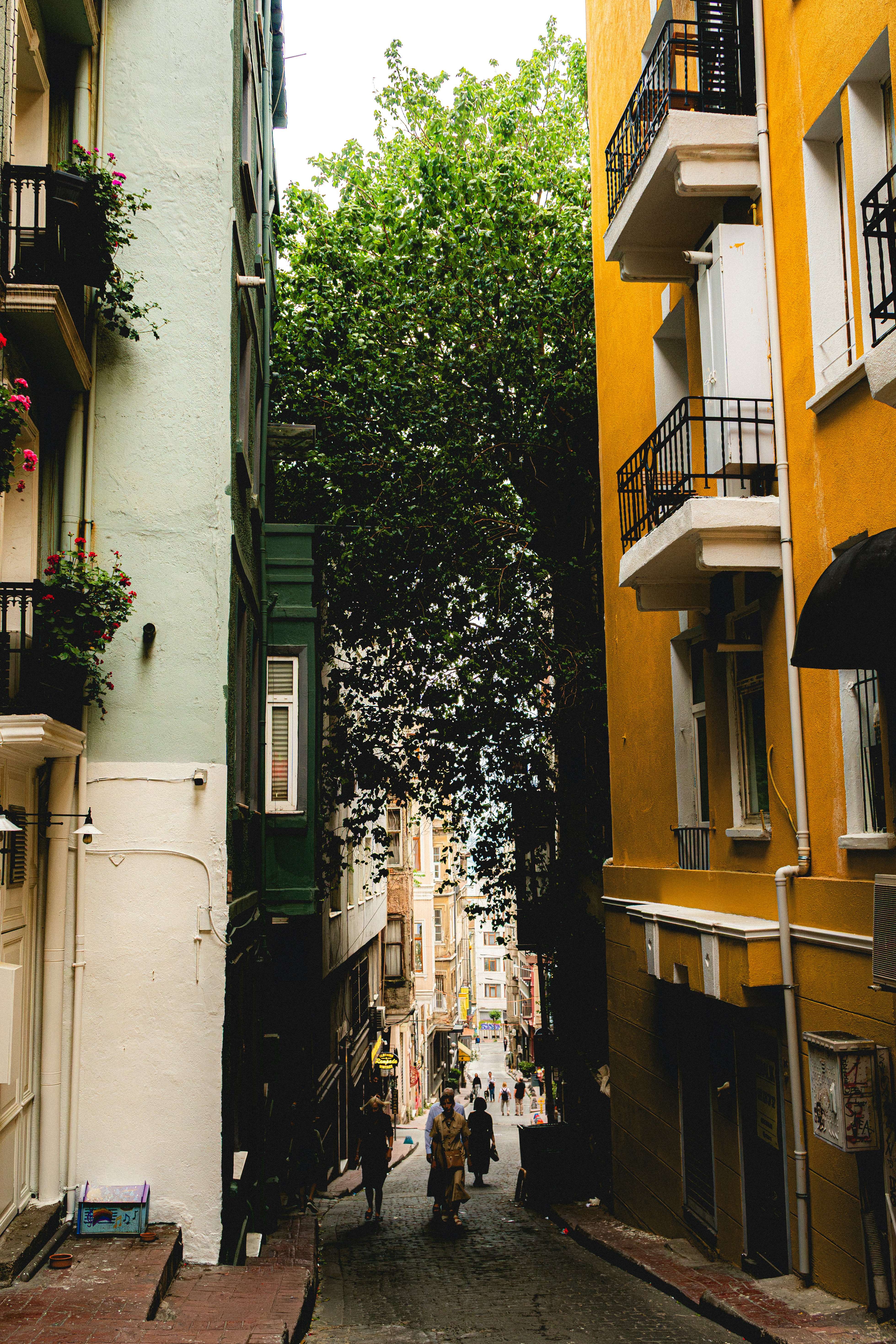 Narrow Street Corridor: Colors of a City Between Walls
