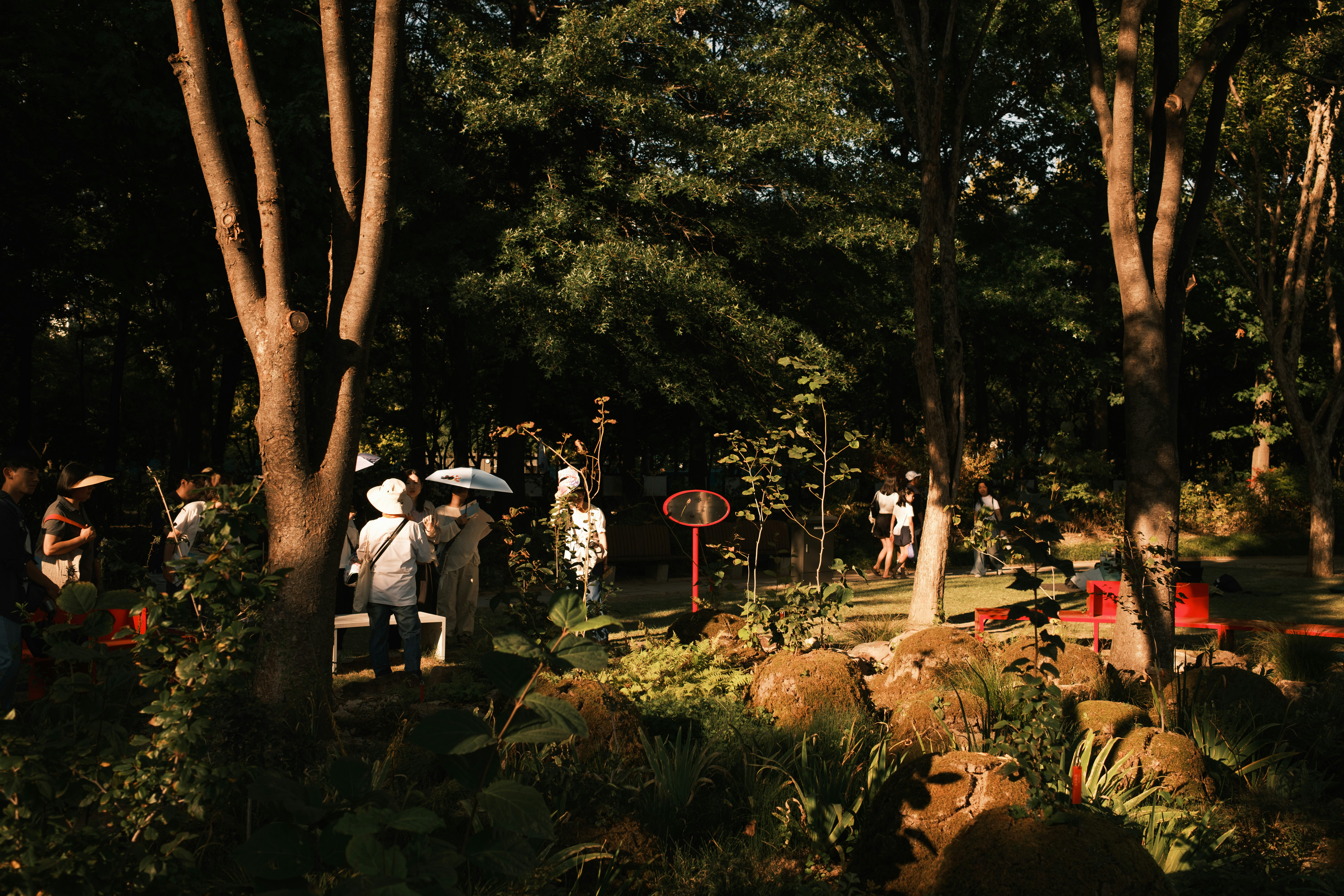 Softly lit park scene with a small group gathering among trees and rocks, highlighting a central activity area.