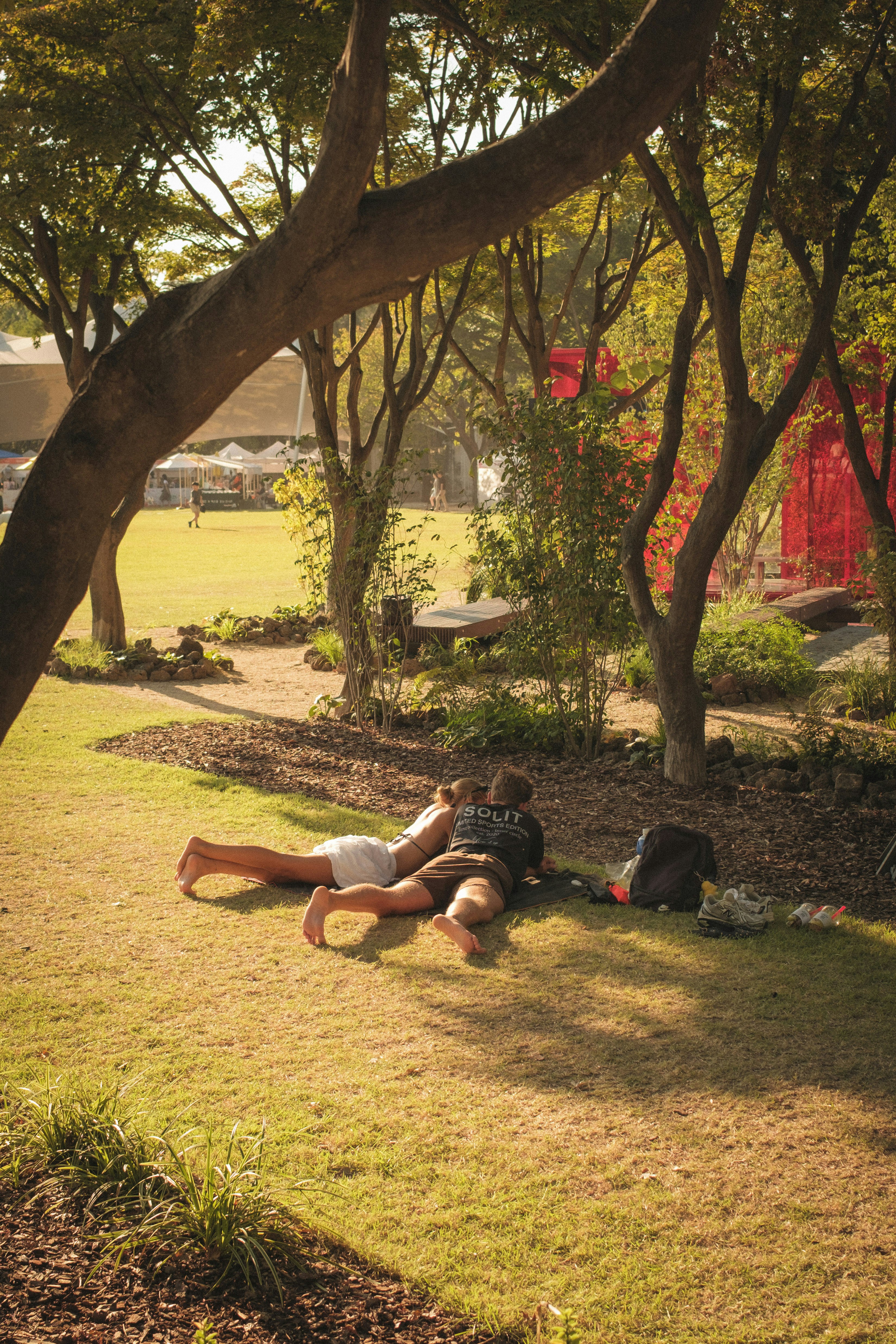 Sunbathers Beneath Canopy: A Quiet Park Moment