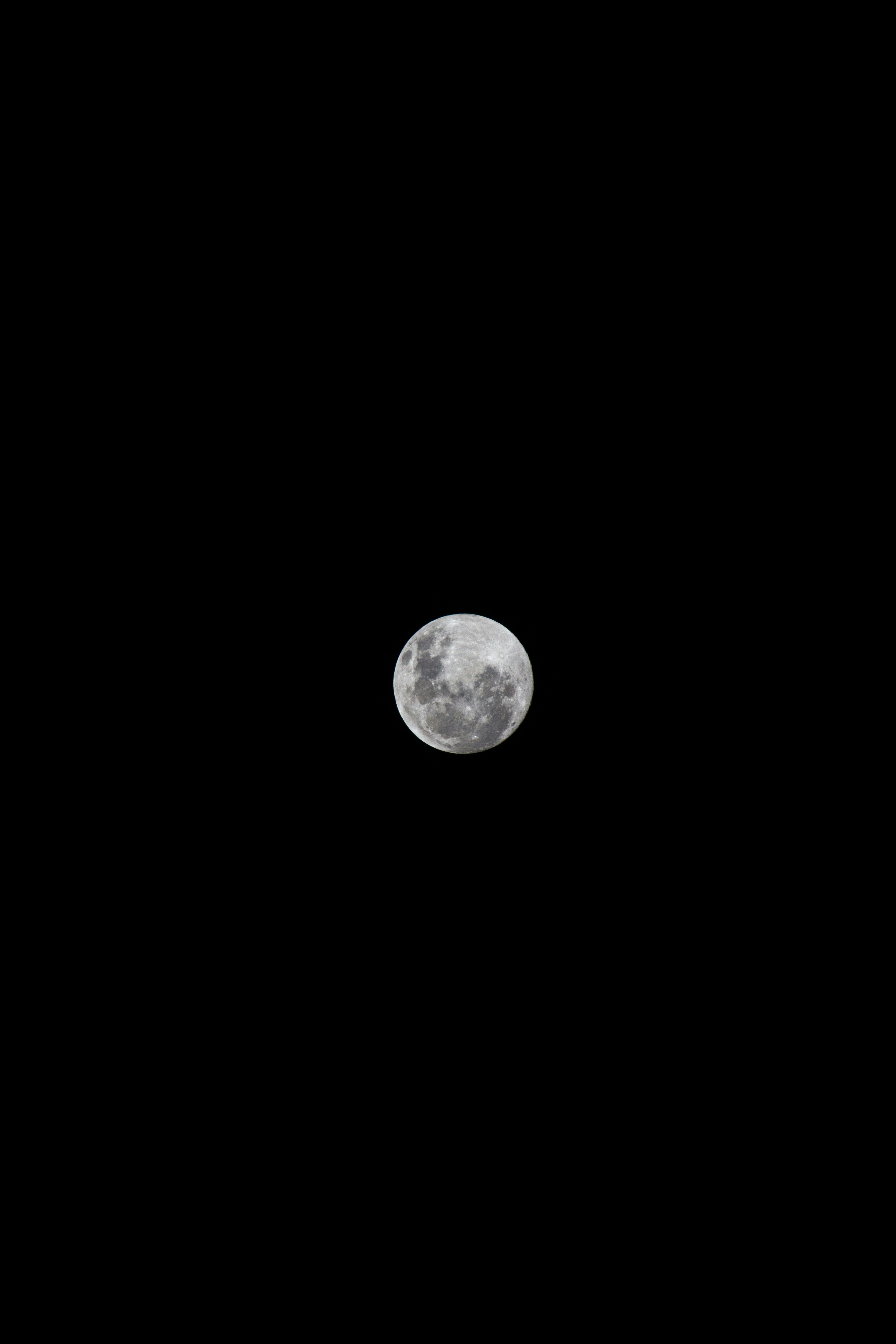 Moonlit Needle: A solitary Moon Against a Velvet Night