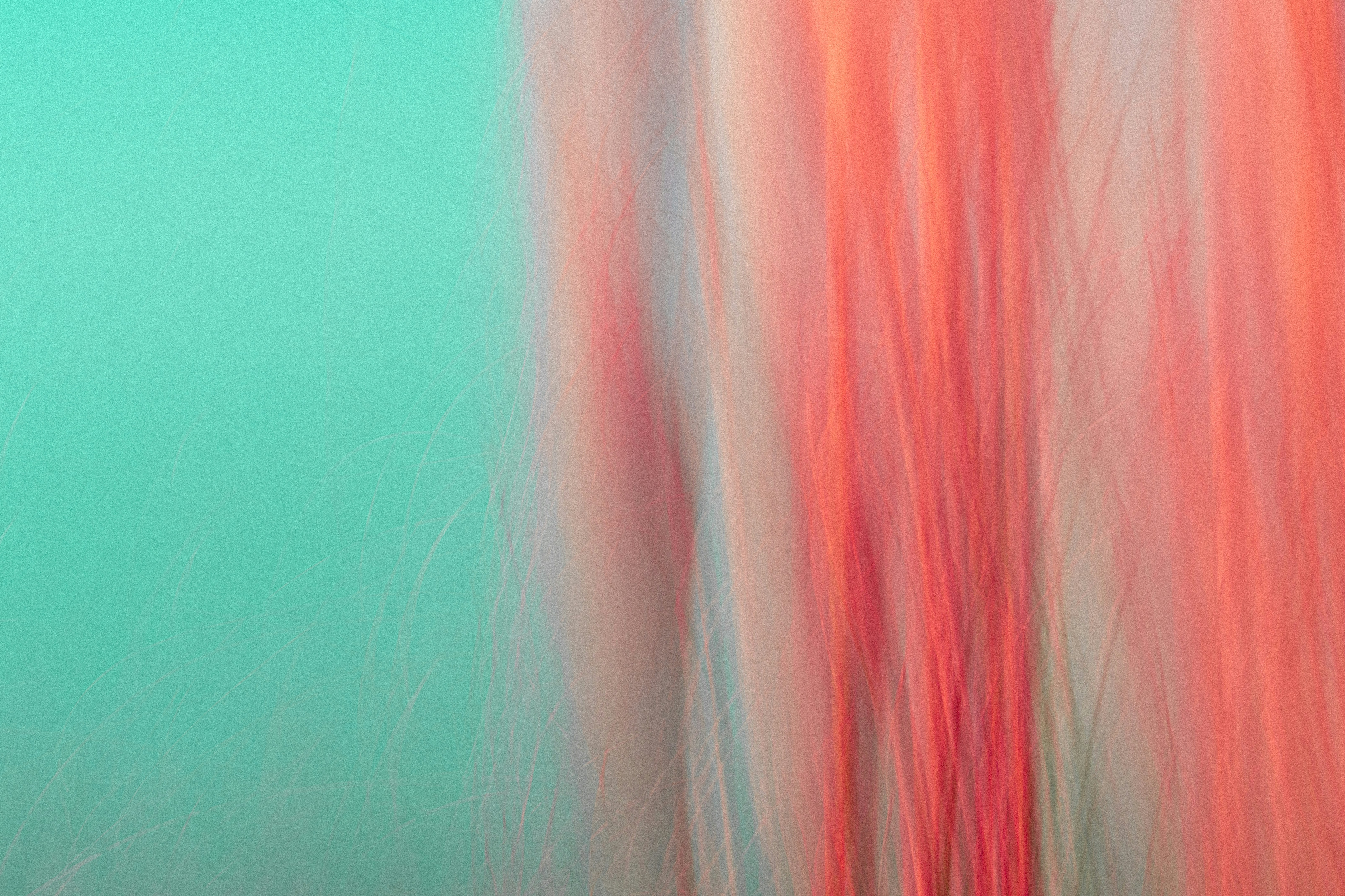 Red Veins of Color Flow Across Teal Field