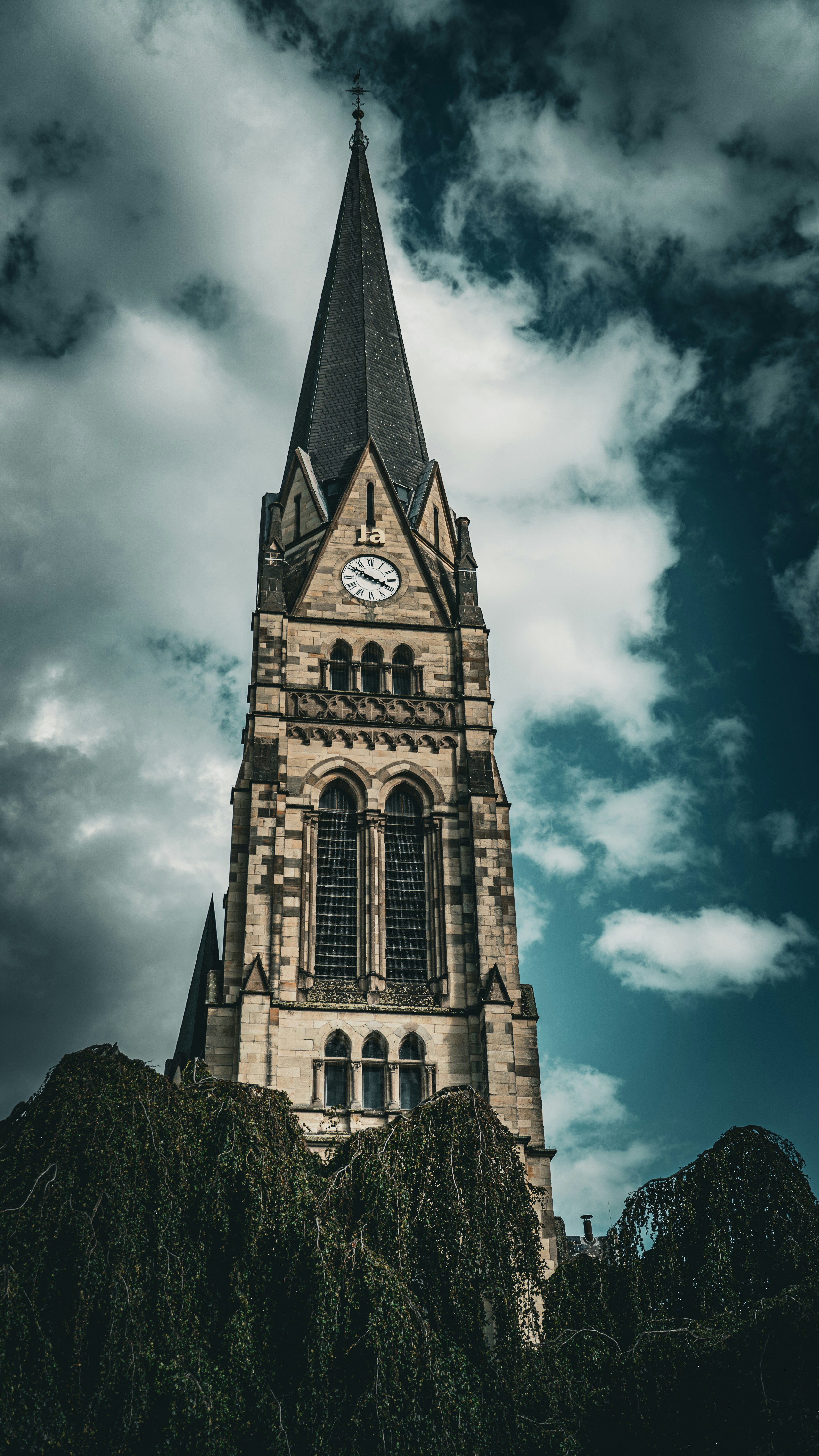 Spire Piercing the Sky: A Gothic Clock Tower Rises Over Weeping Vines