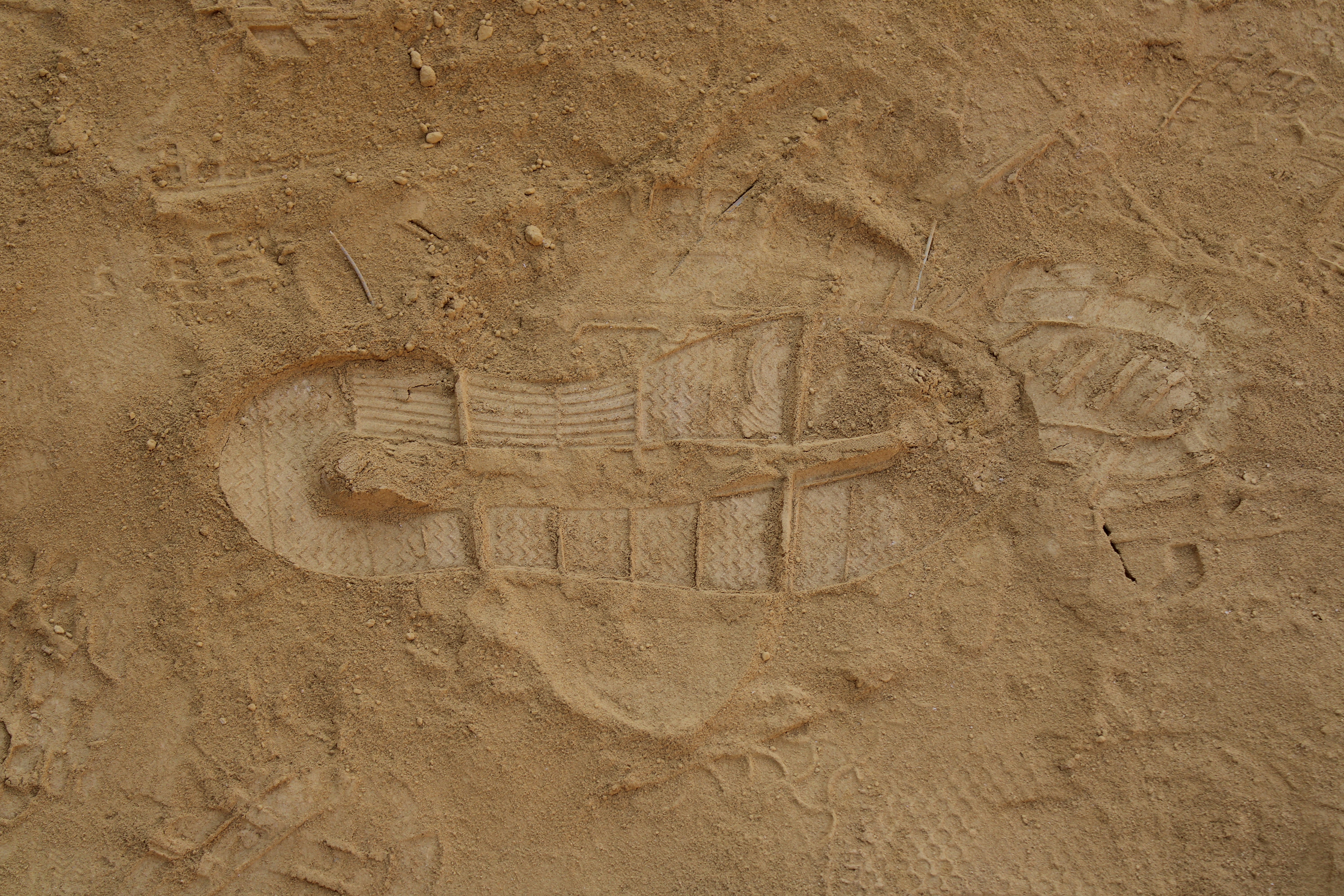 Imprint in Desert Sand: A Footprint of Memory