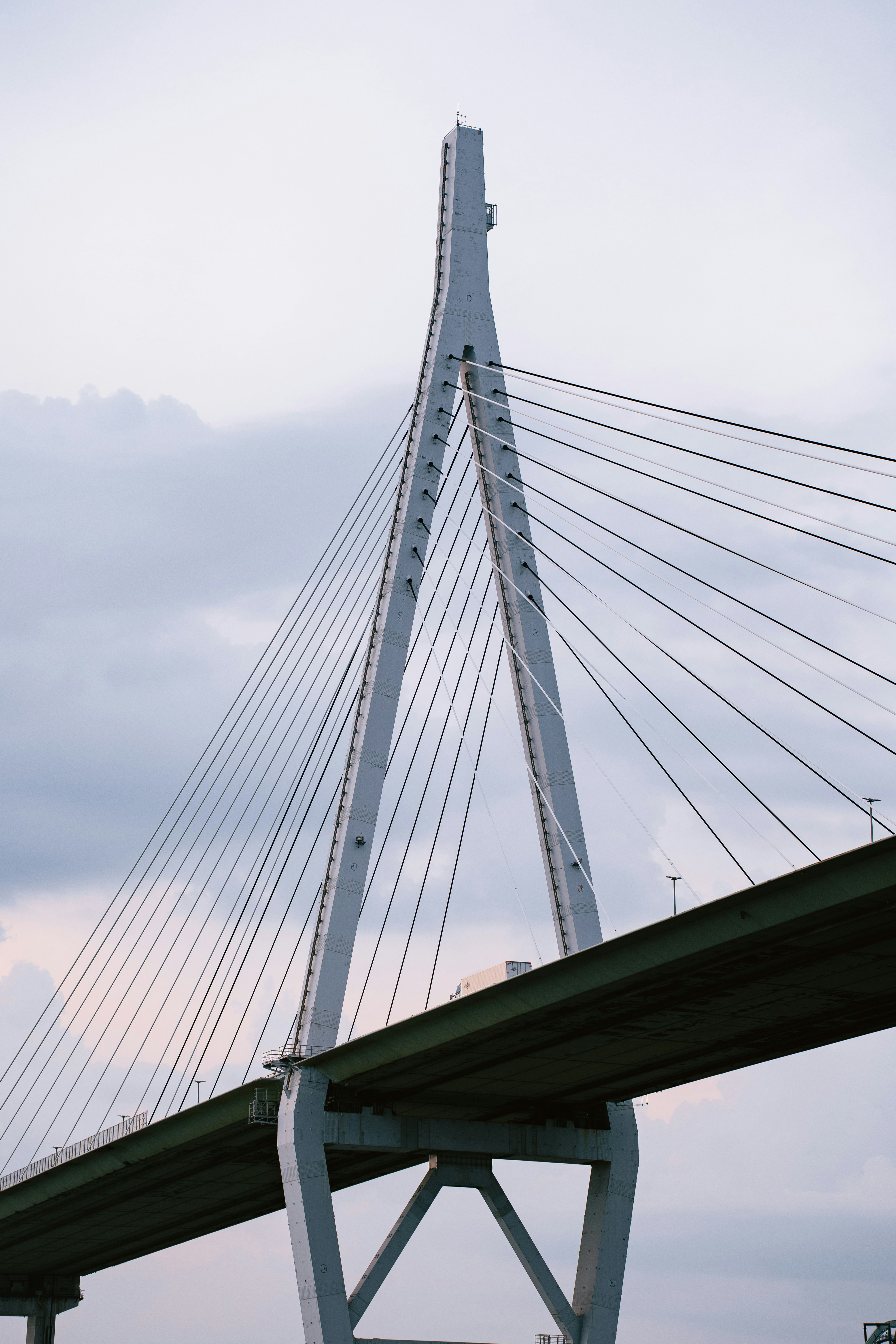 Suspended Arc: A Cable-Stayed Wonder Over the River