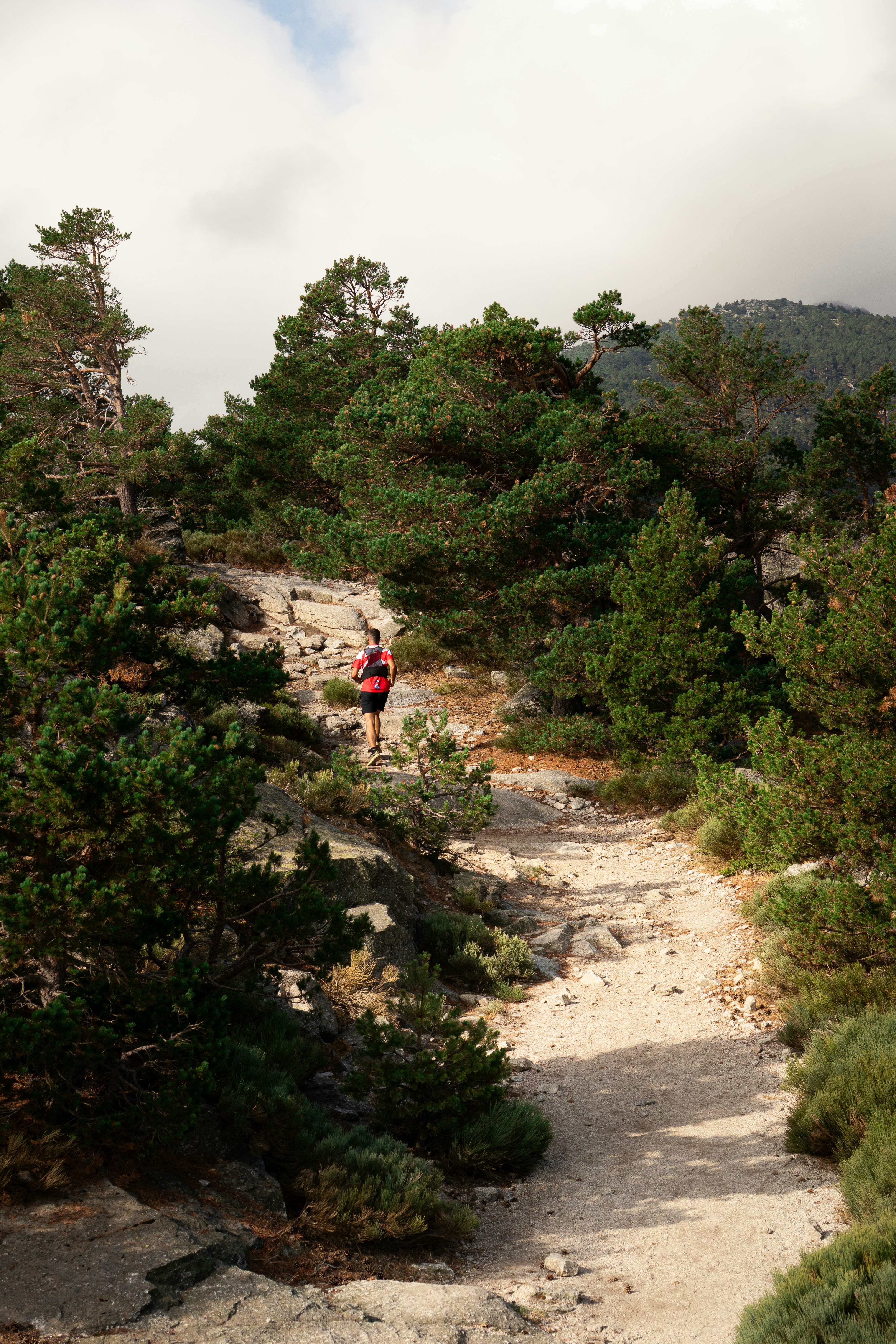 Trail to the Summit: A Lone Hiker on a Rocky Ascent