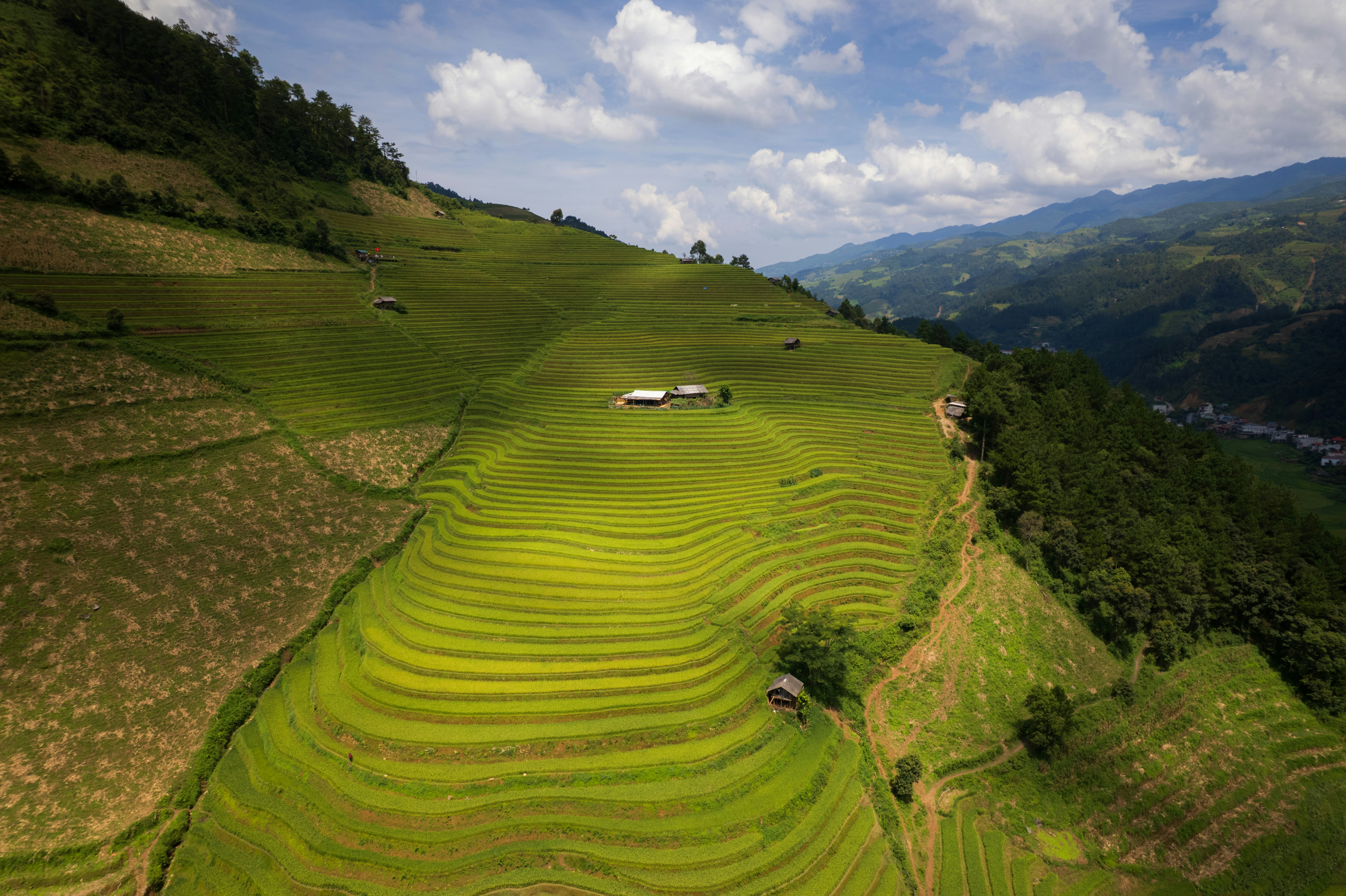 Terraced Emerald Staircase Under a Sky of White Clouds