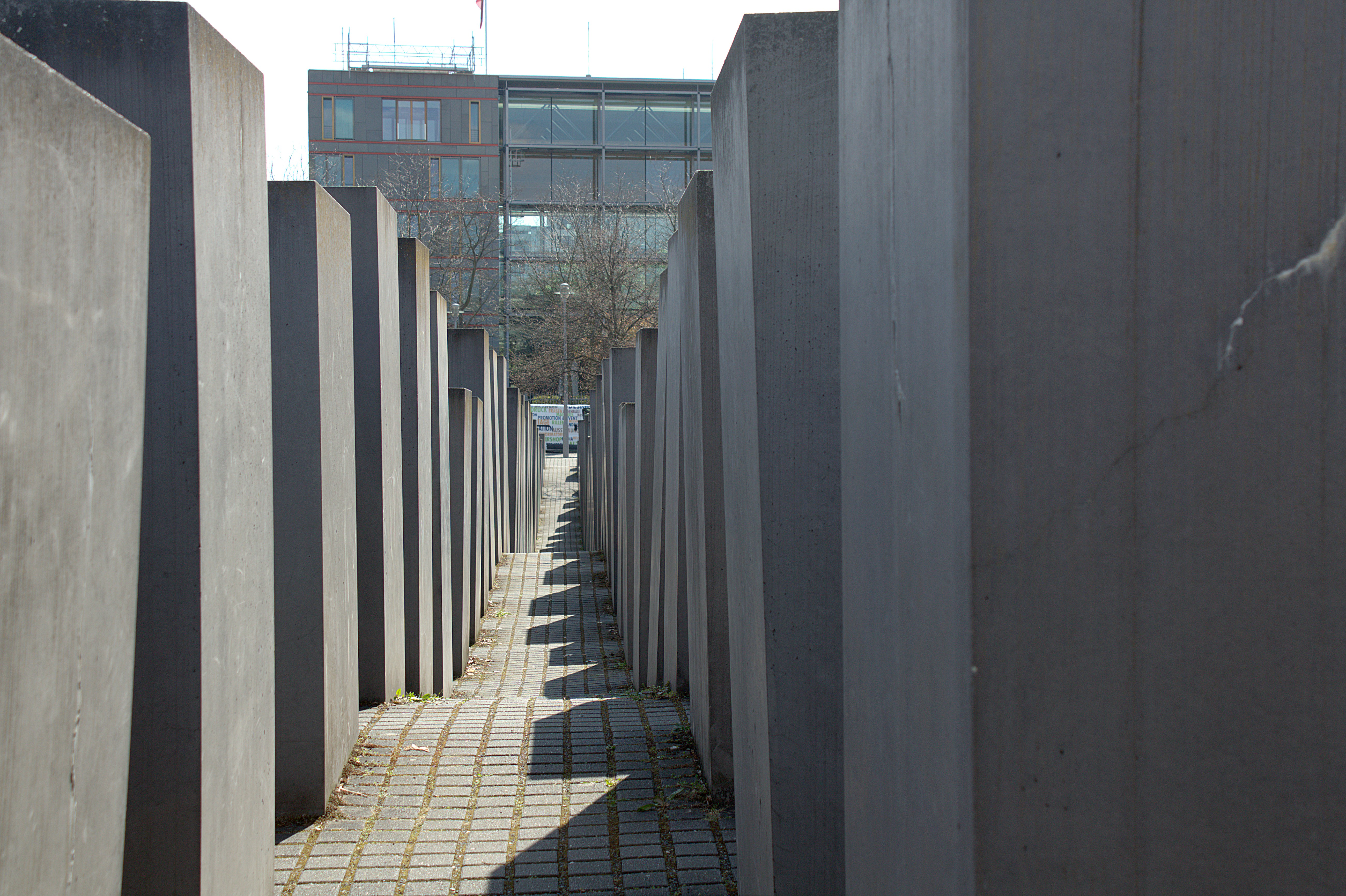 Between the Columns: A Silent Corridor Toward the City