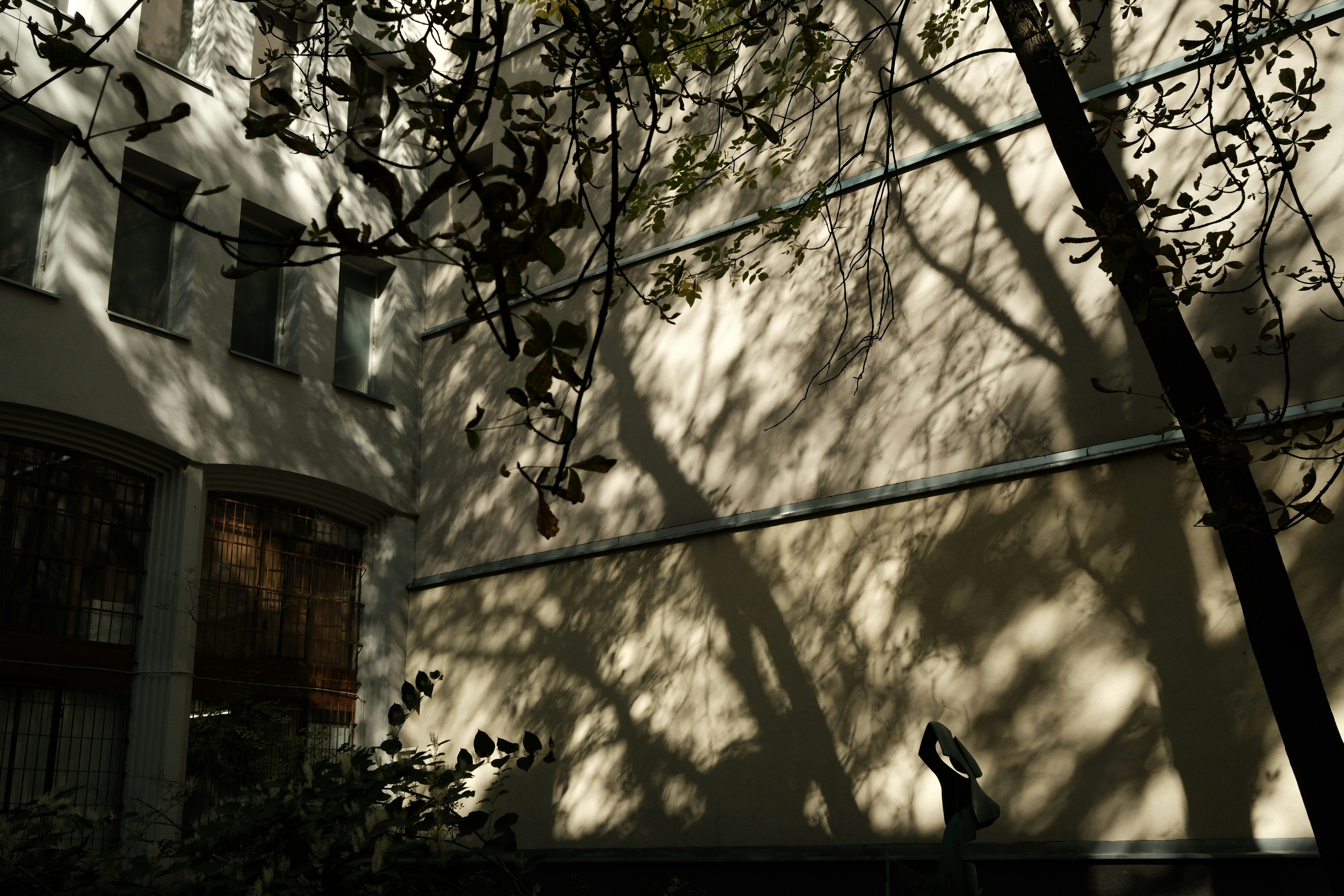 Shadowplay Across a Sunlit Wall