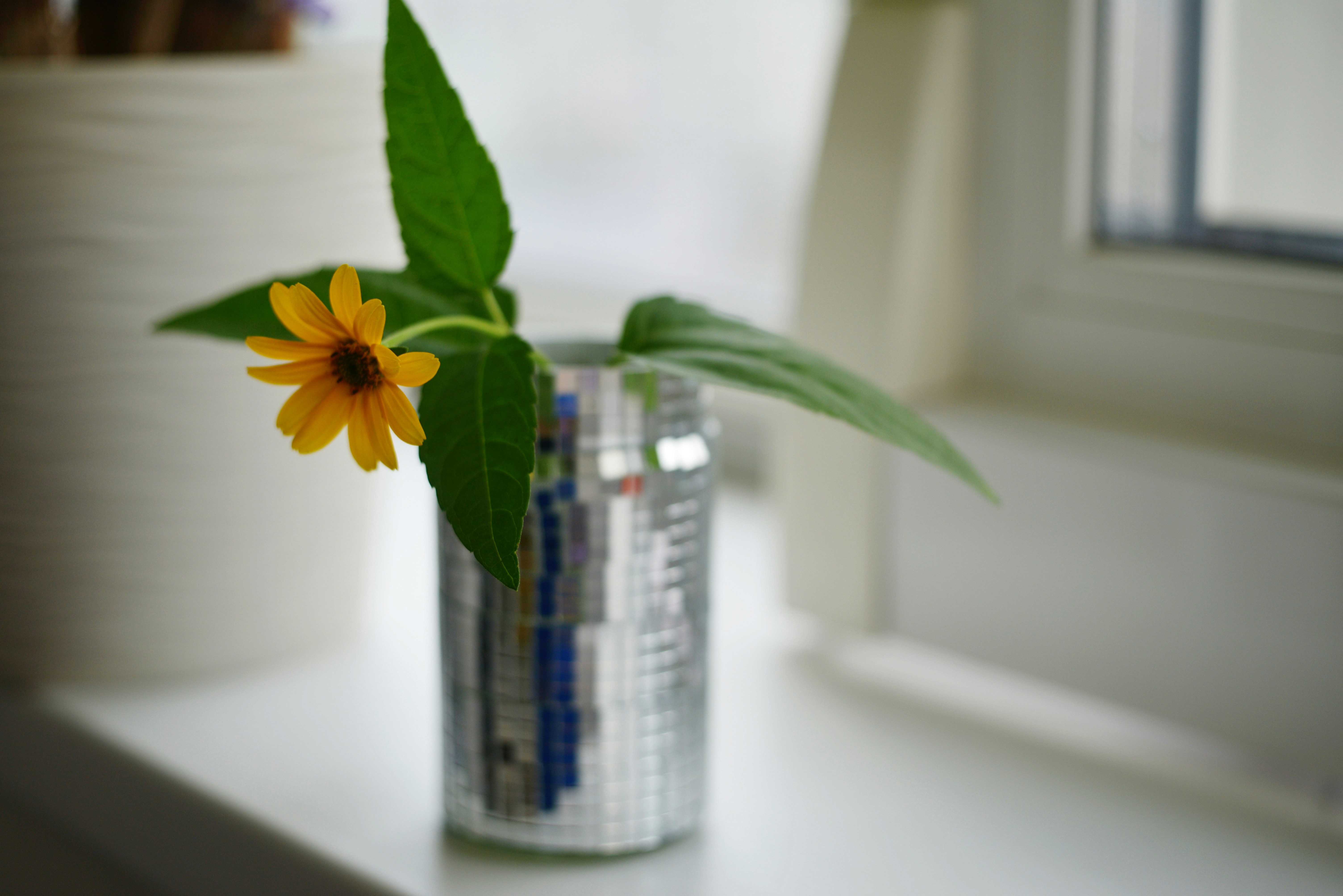 Sunlit Yellow Bloom on a Reflective Metallic Vase