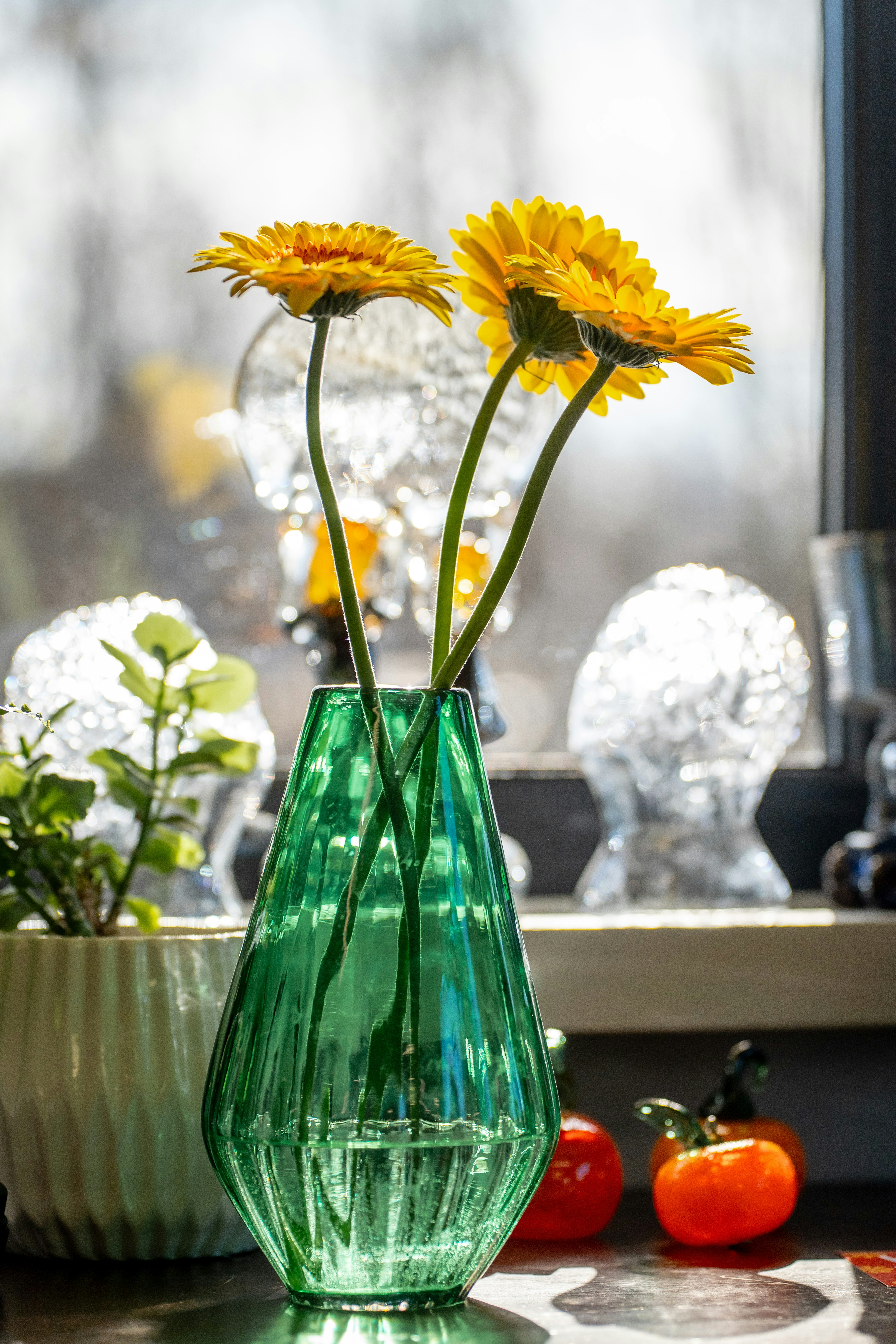 Sunlit Sunflowers in a Green Glass Vase Basking in Window Light