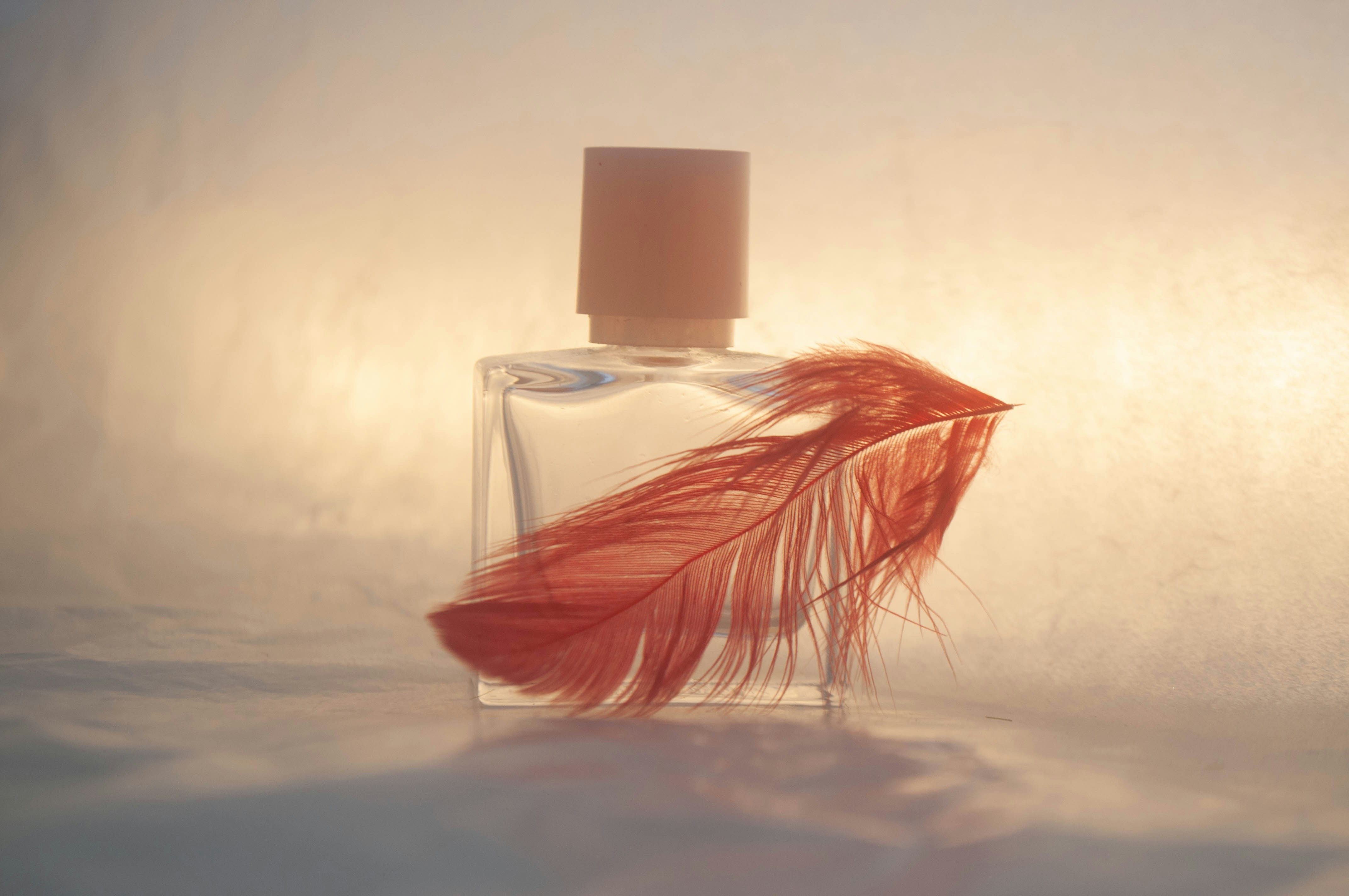Soft Light, Bold Feather: A Perfume Bottle in Gentle Backlit Glow