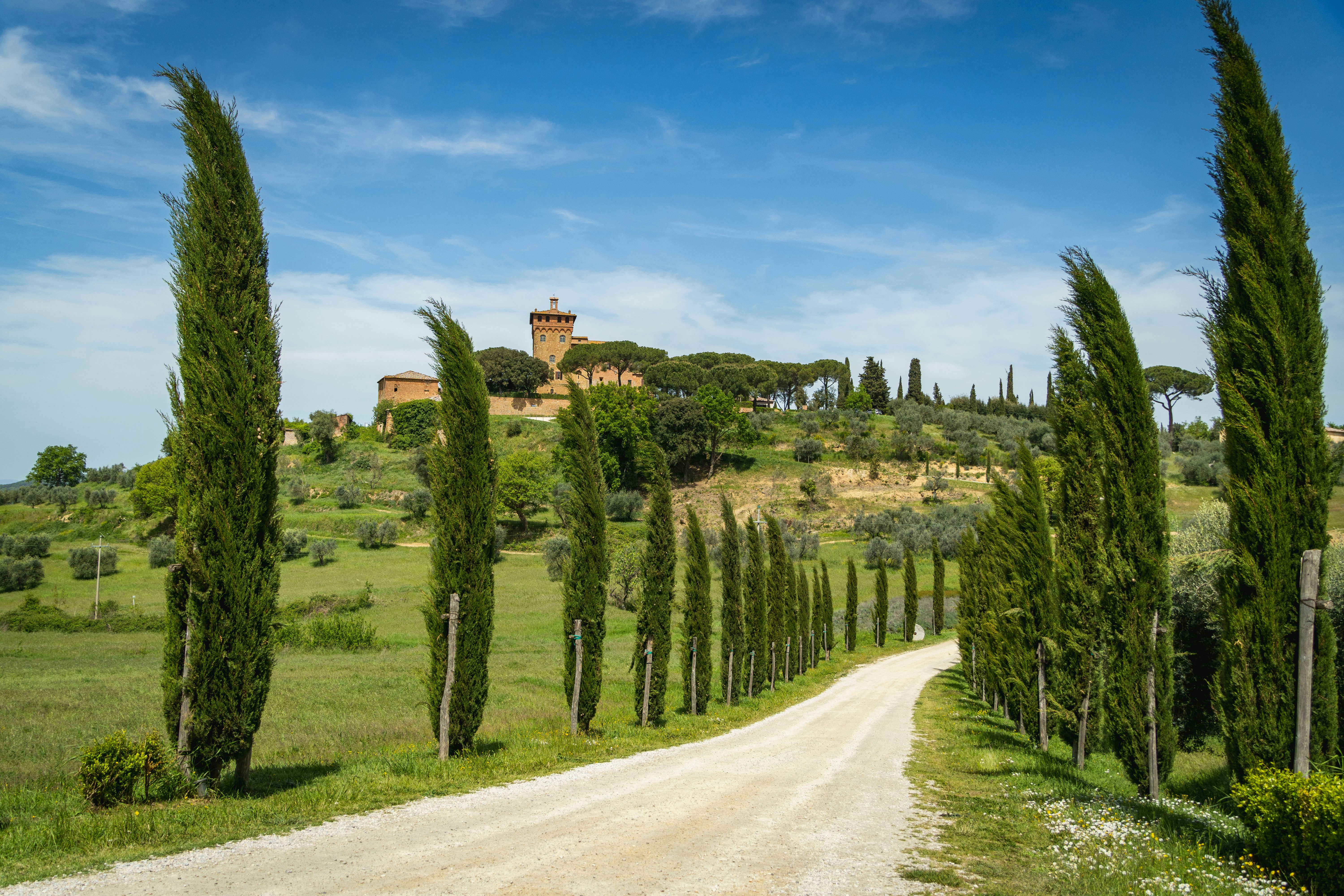 Cypress-lined approach to a Tuscan hilltop fortress