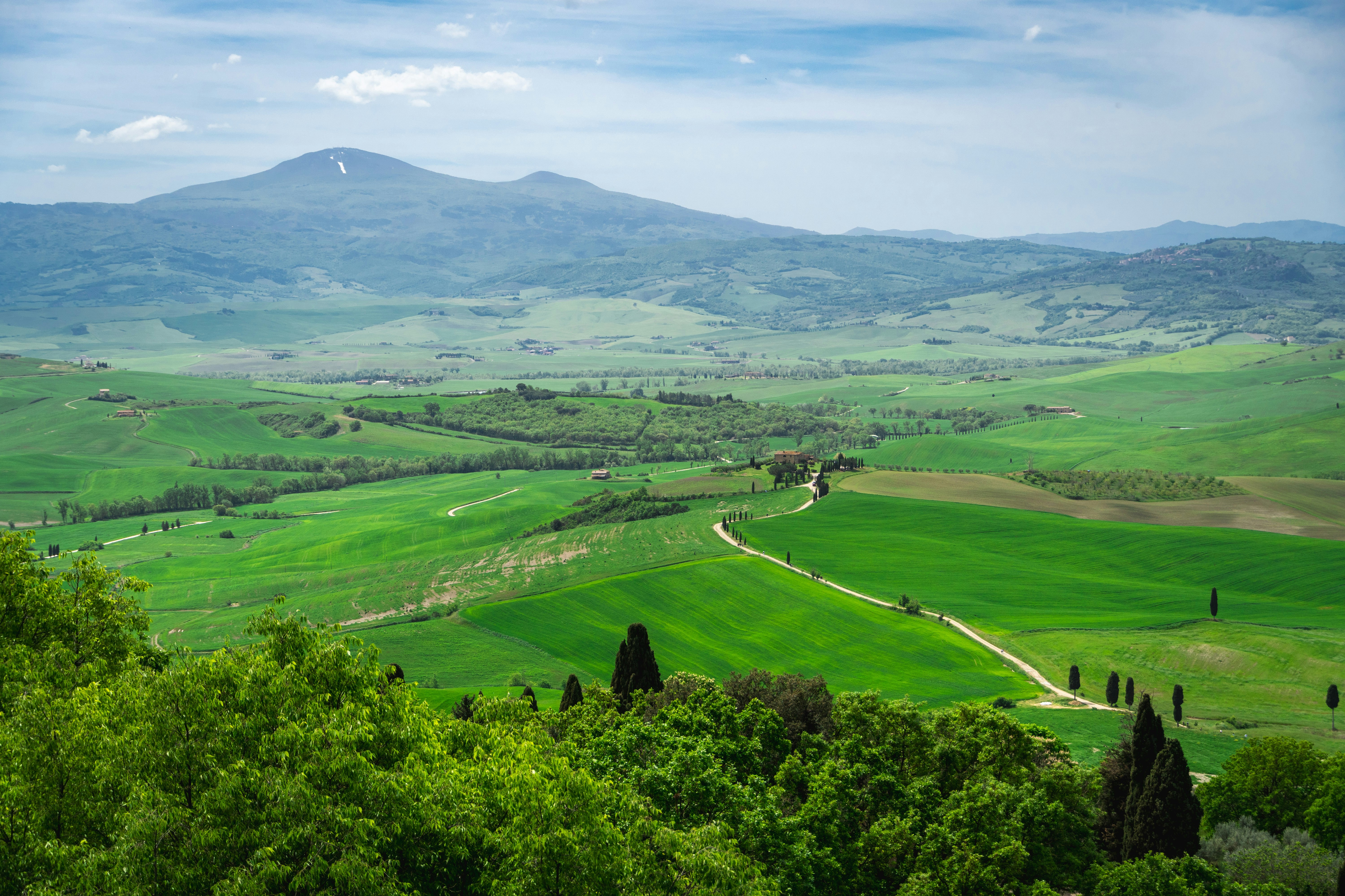 Rolling Tuscan-like Valley with a Winding Road to the Horizon