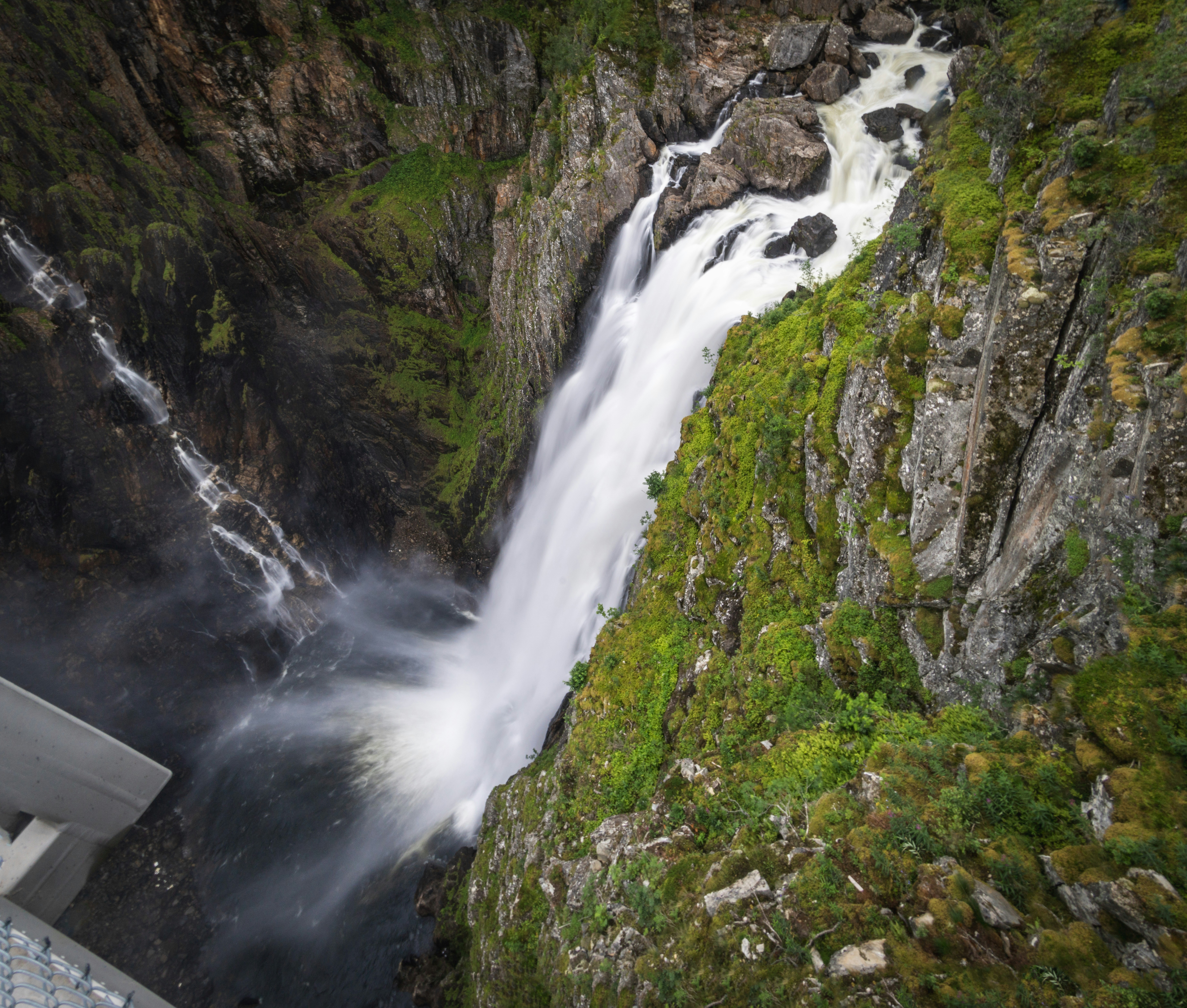 Motion in the Gorge: A Cascading Veil Between Mossy Walls