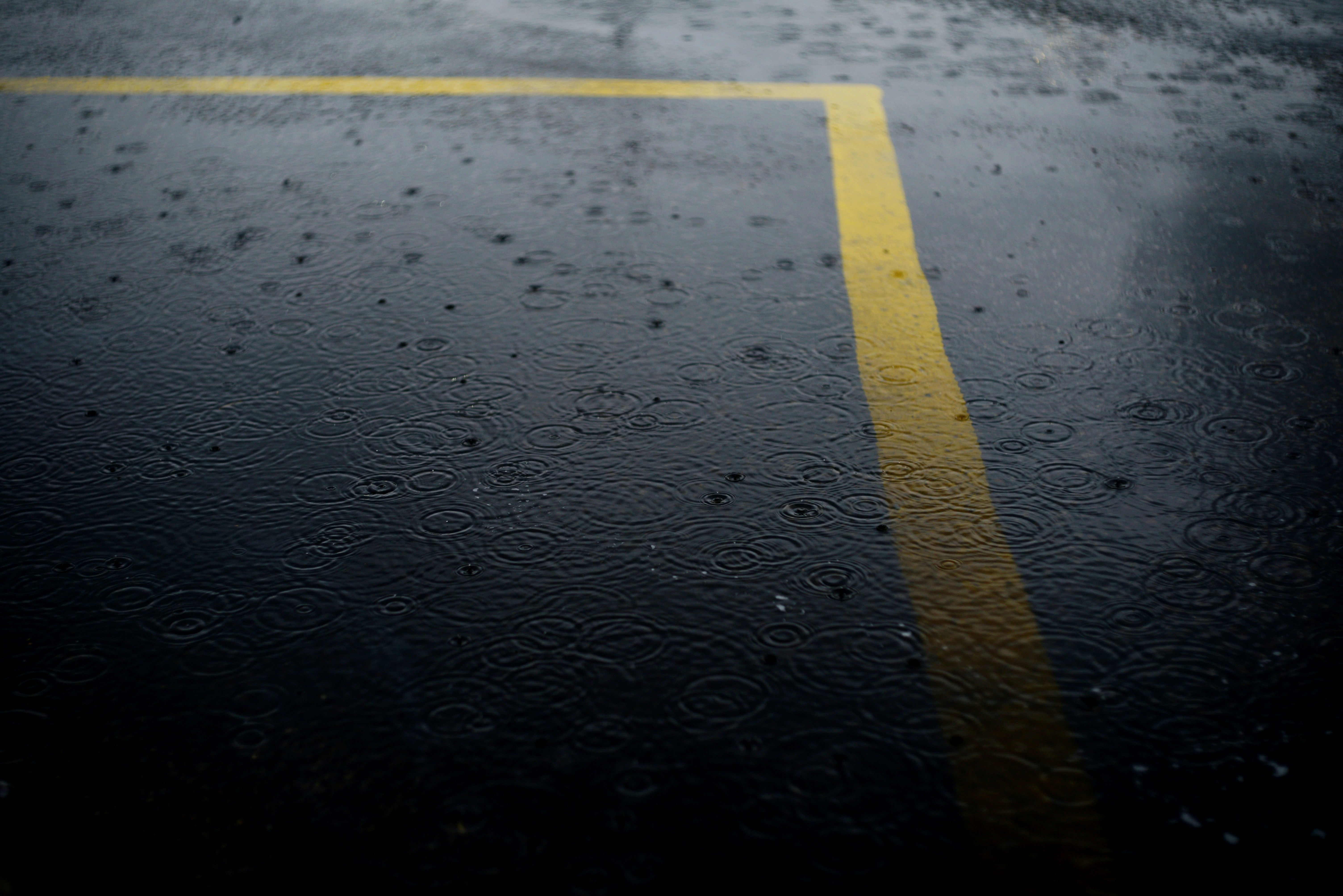 Yellow Boundary in Rain: A Quiet Parking Lot Line Under Raindrops