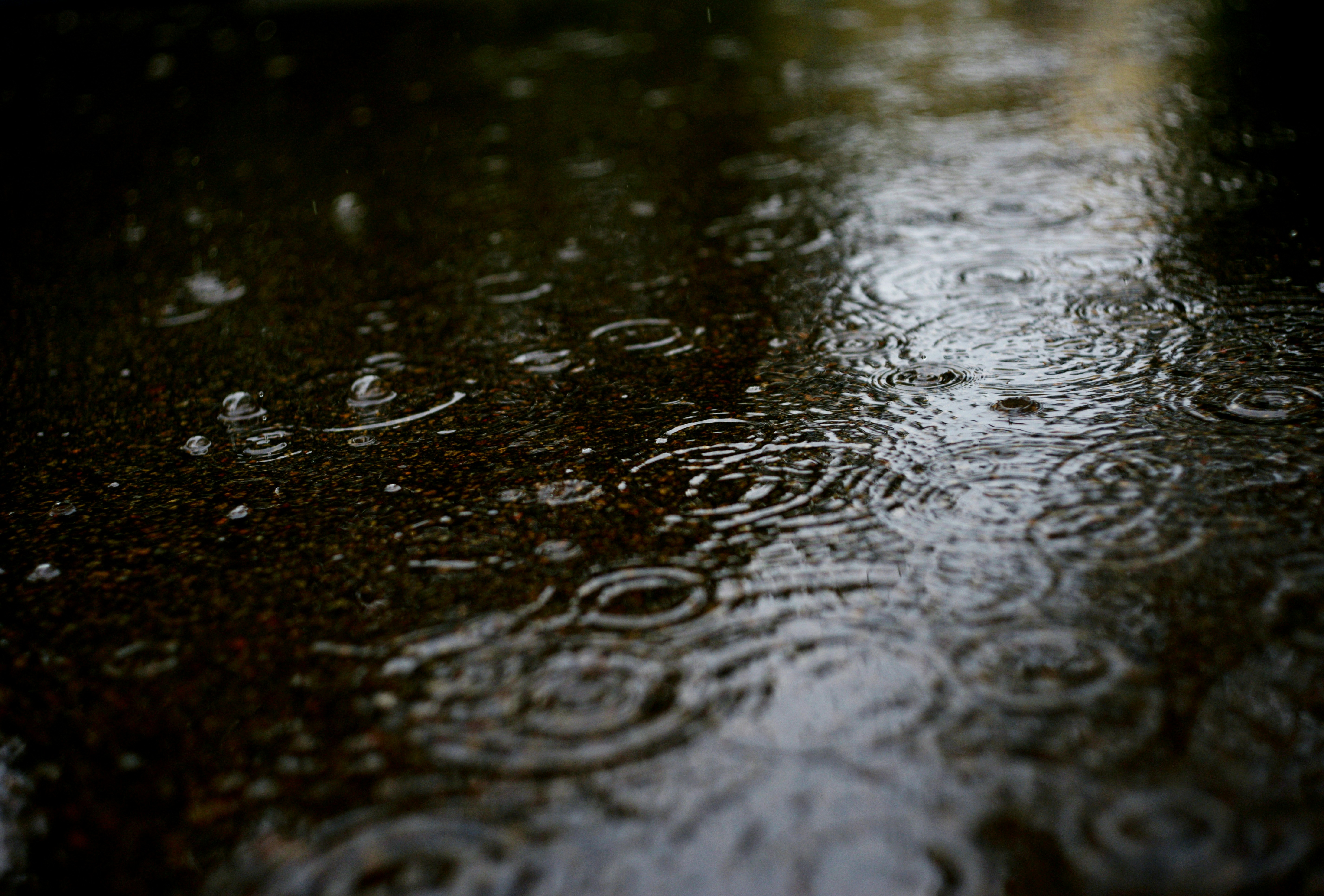 Rings of Rain: Circles on a Puddled Street
