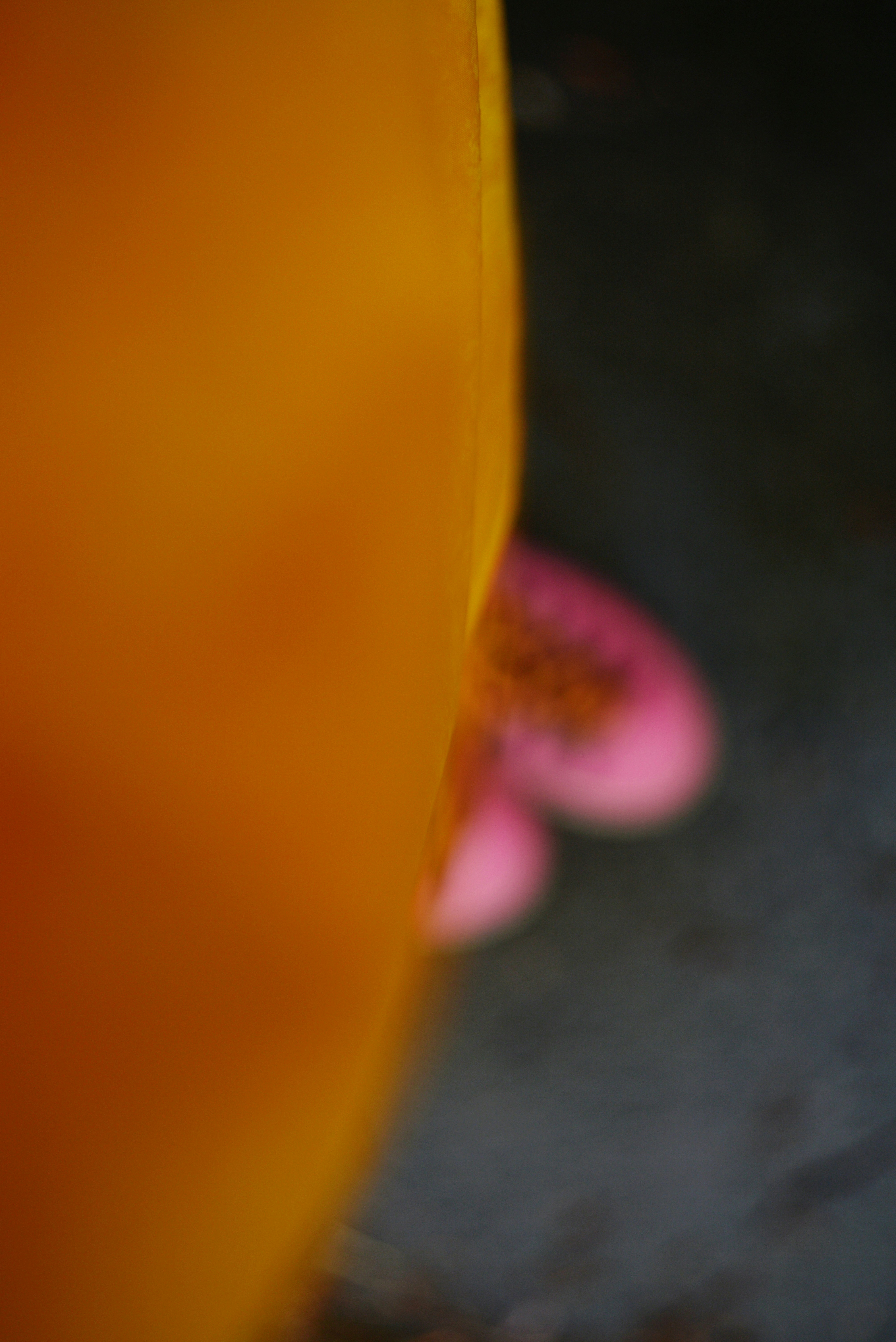 A Slice of Peach: Pink Shoes in the Shadow of an Orange Form