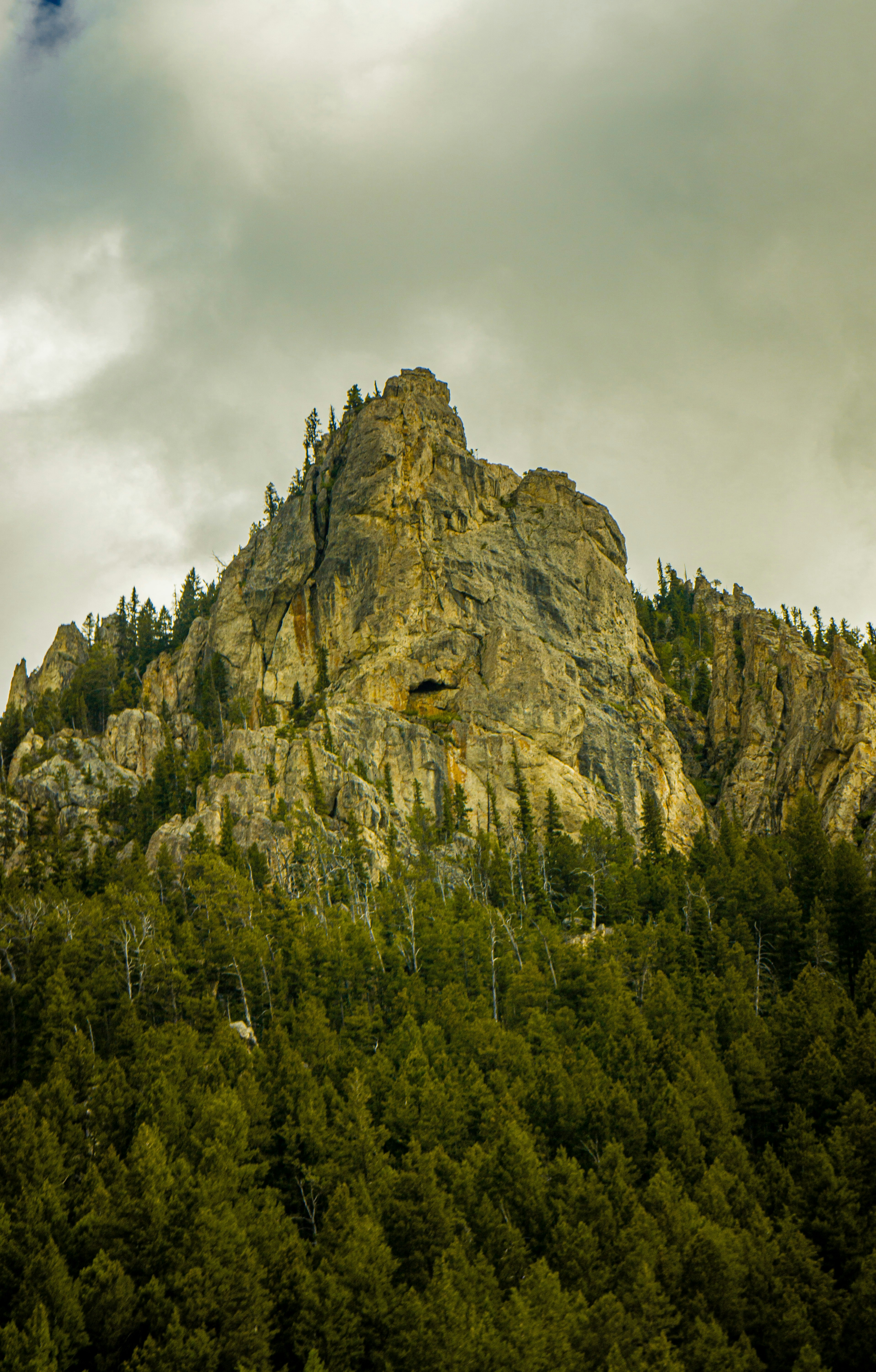 Nominal Peak: A Sierra Prominence Rising Above the Pines