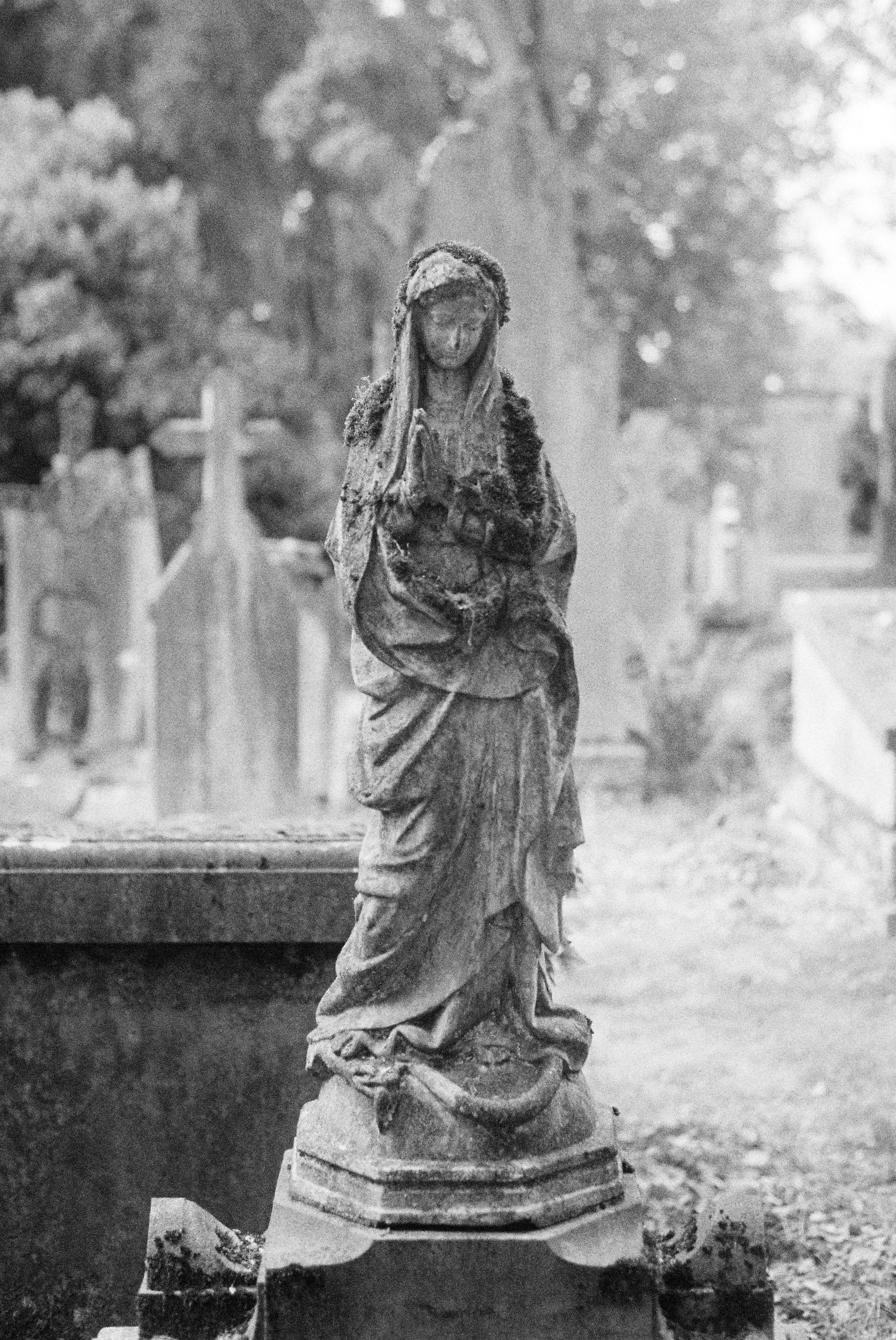 Silent Guardian of the Graveyard