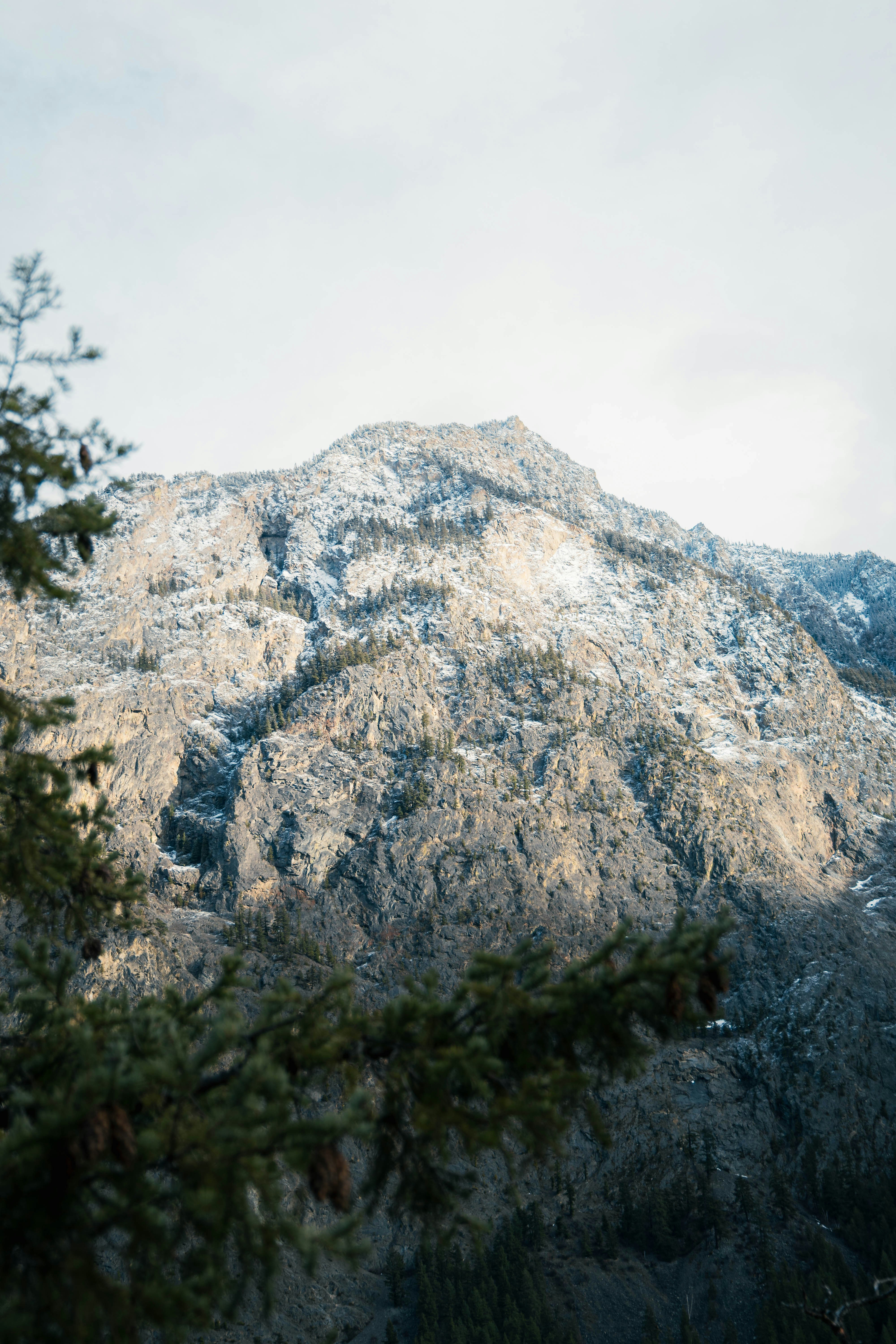 Snow-veiled peak under pale sky framed by pine silhouettes